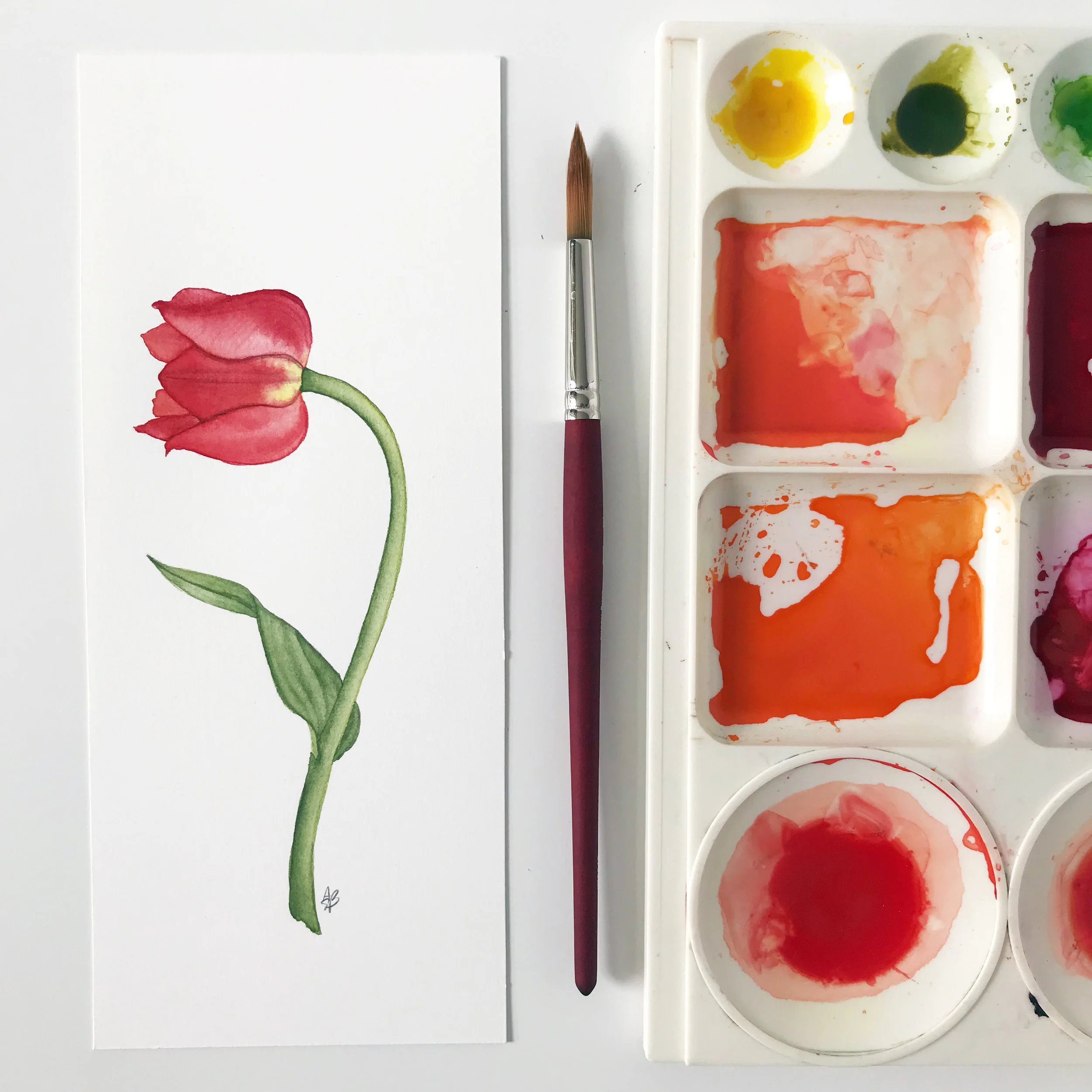 Single Tulip Flower Painting