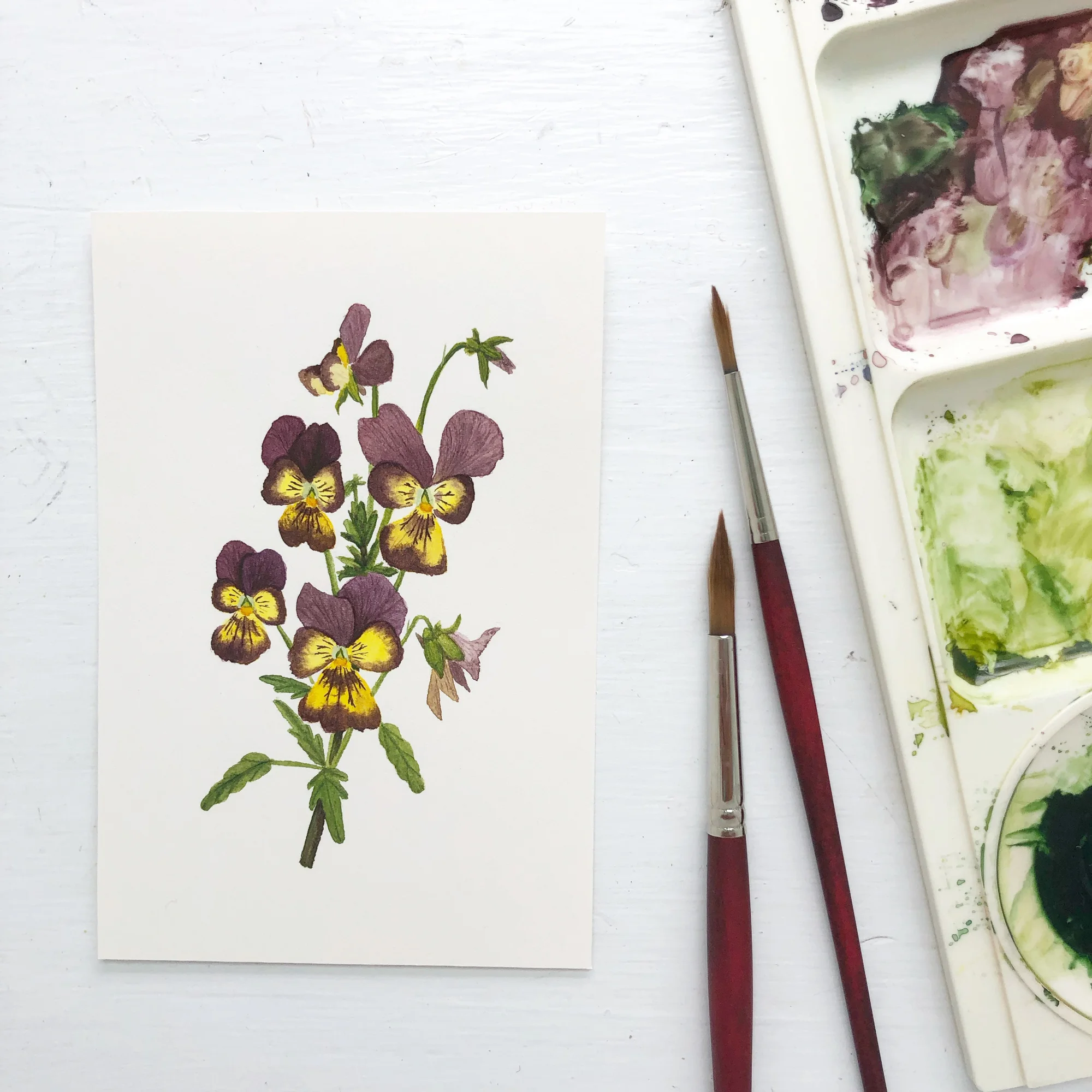 growing inspiration: violas — My Giant Strawberry: Creative Joy ...