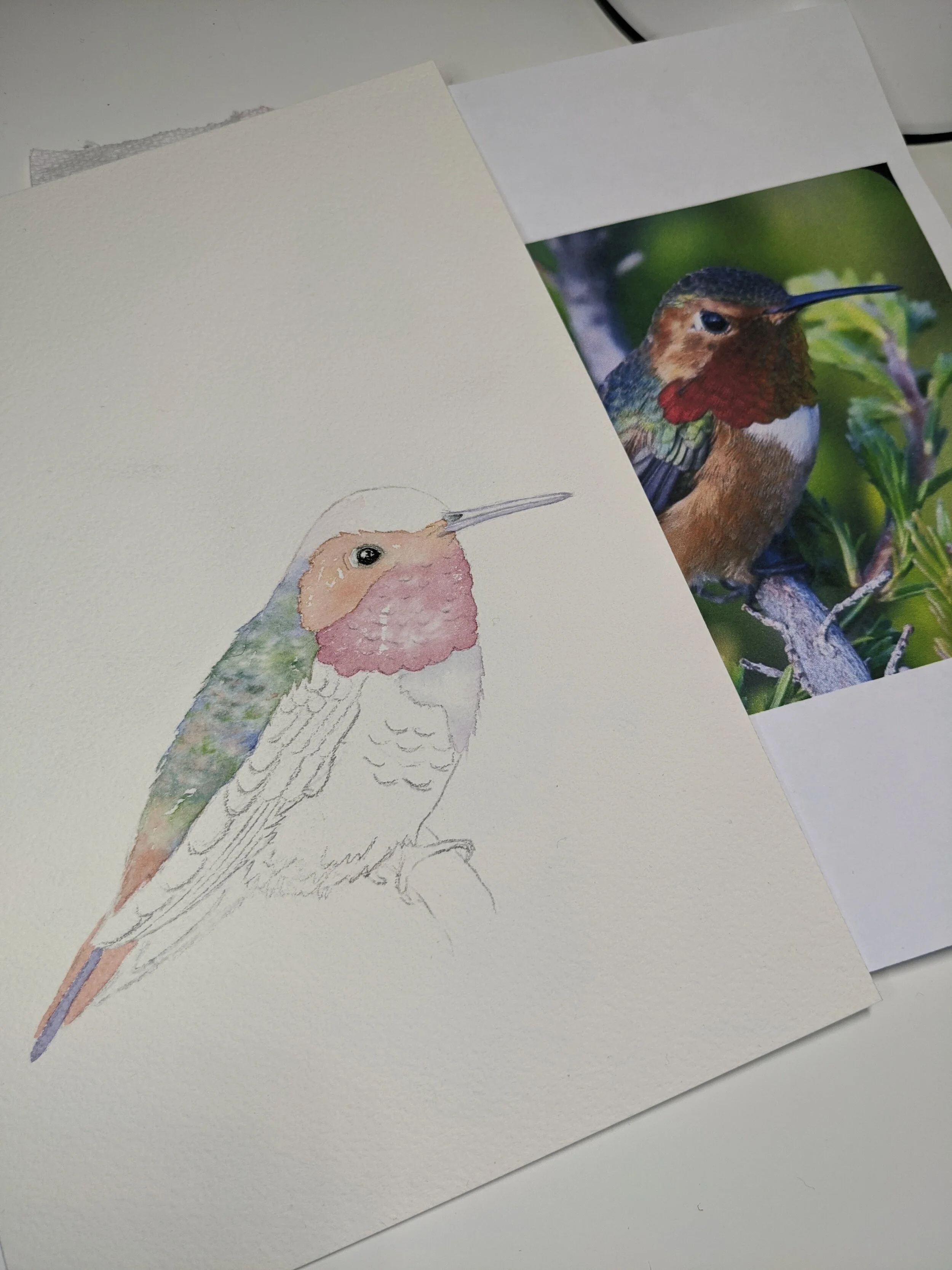 Sips of Inspiration: an Interview with Laura Ashton — My Giant ...