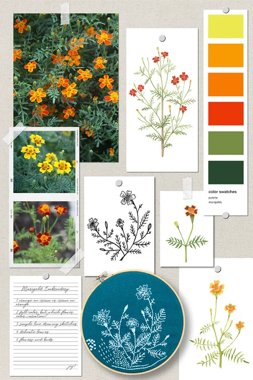 The Story Behind My Beautiful New Marigold Botanical Embroidery Designs ...