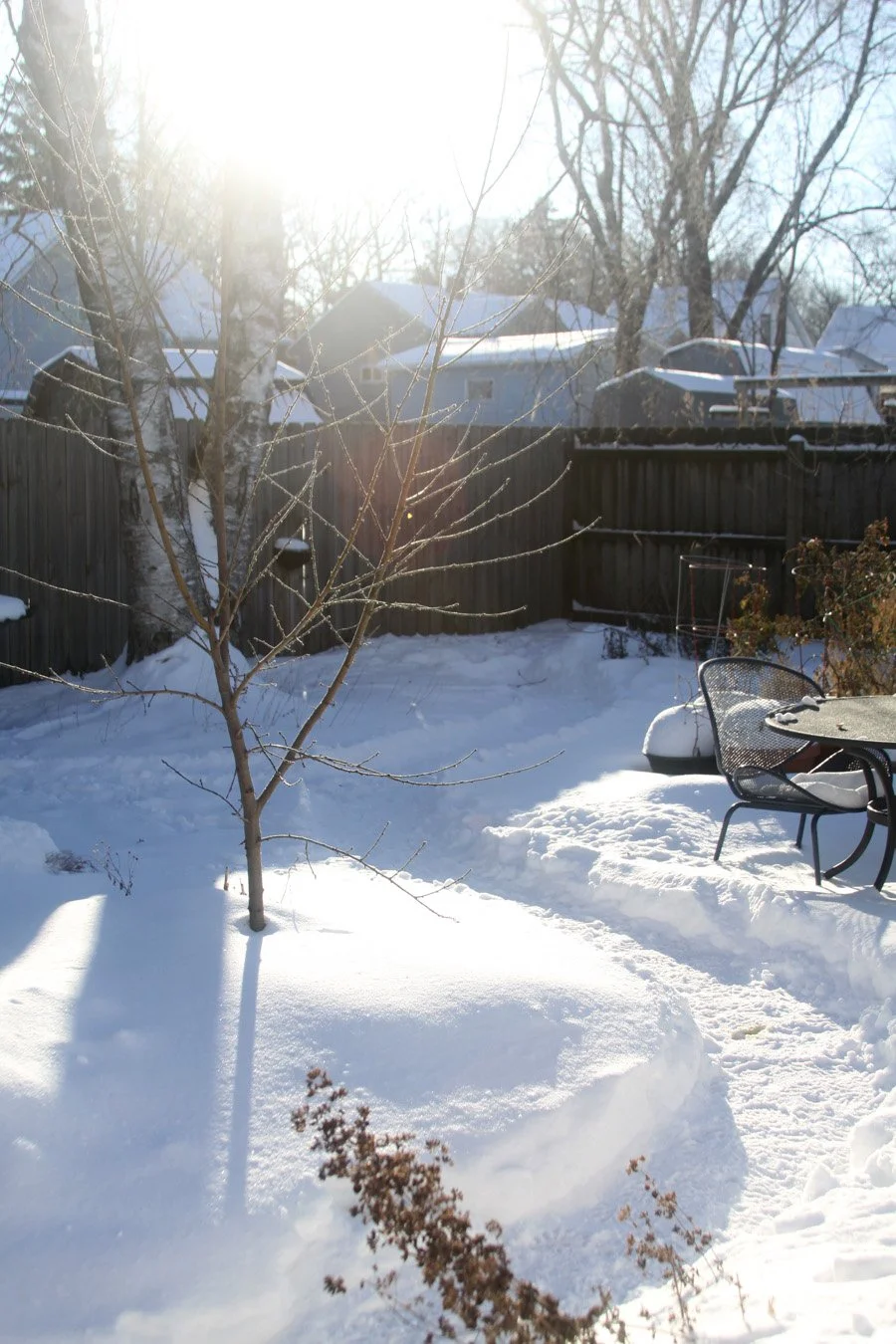 Surviving Winter: 11 Ways I Bring More Joy and Warmth into Cold Days ...