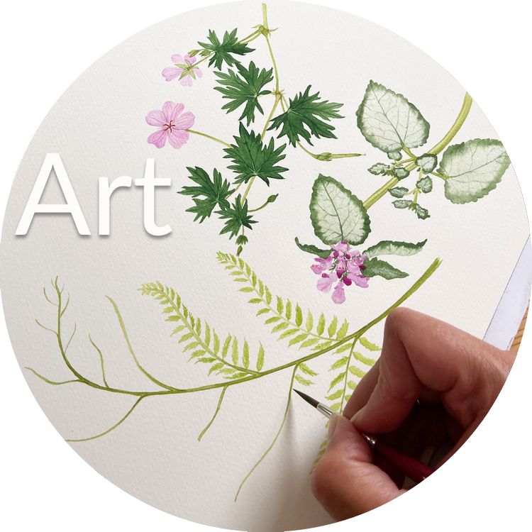 Notes from the Studio: the Blog of Anne Butera — My Giant Strawberry ...