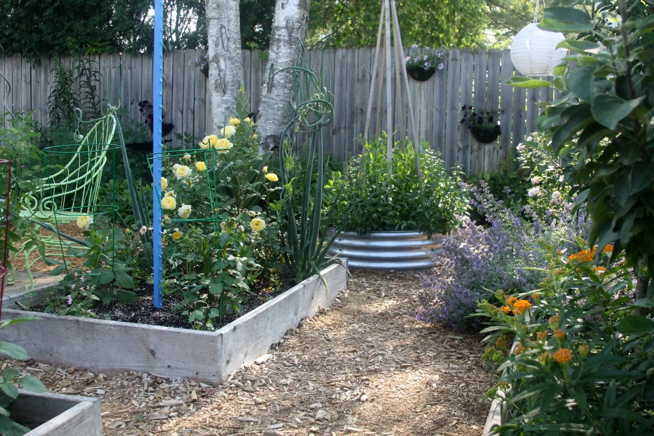 June 2023 In the Garden: Nostalgia, Growth and Letting Plants Have ...