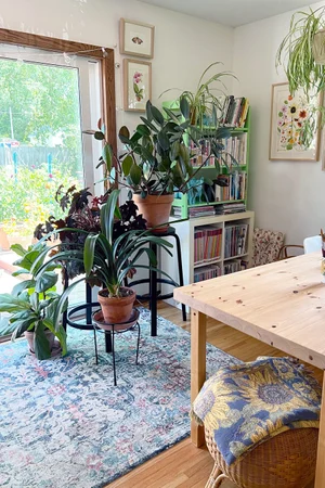 A Tour of My New Studio: A Joyful Plant and Art-Filled Creative Space ...
