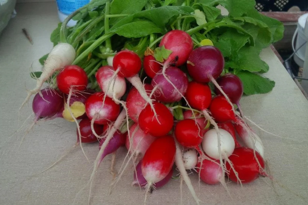 The Les Cheneaux Culinary School