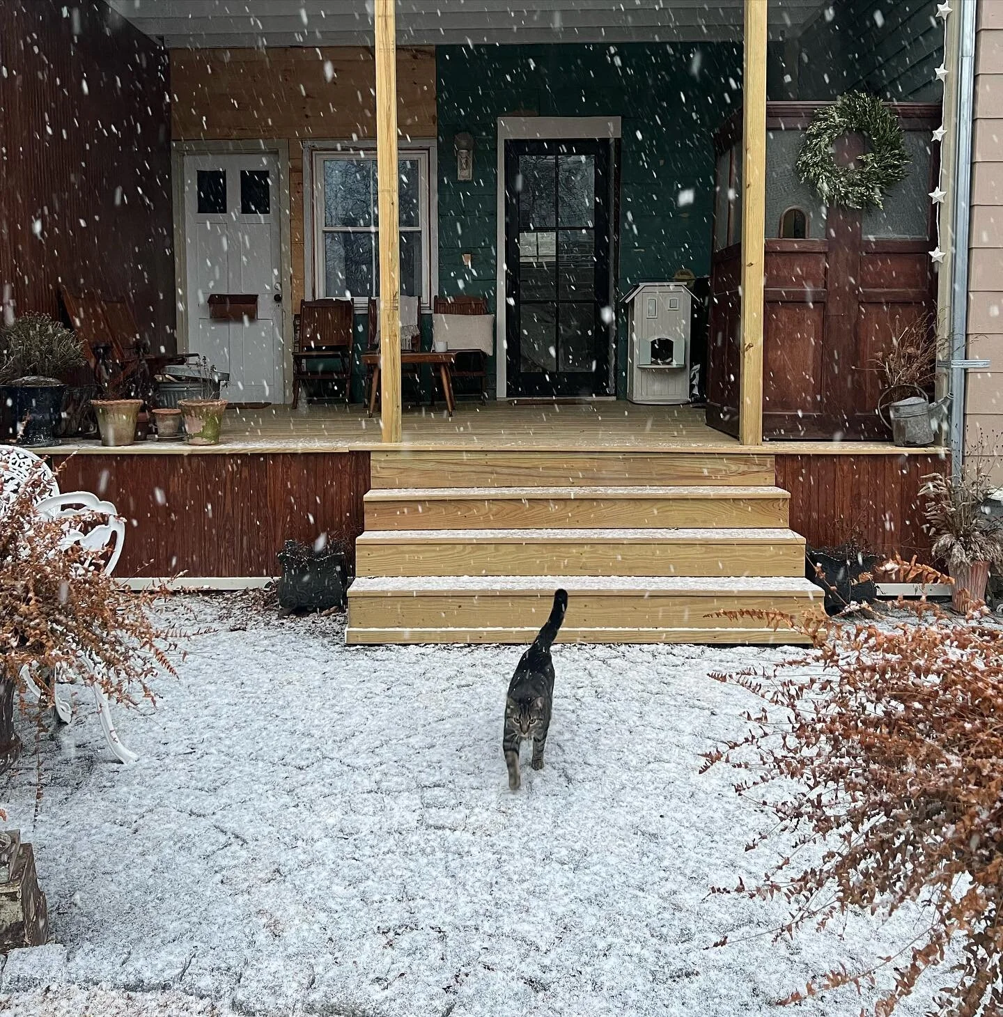 ABOUT — Meow House