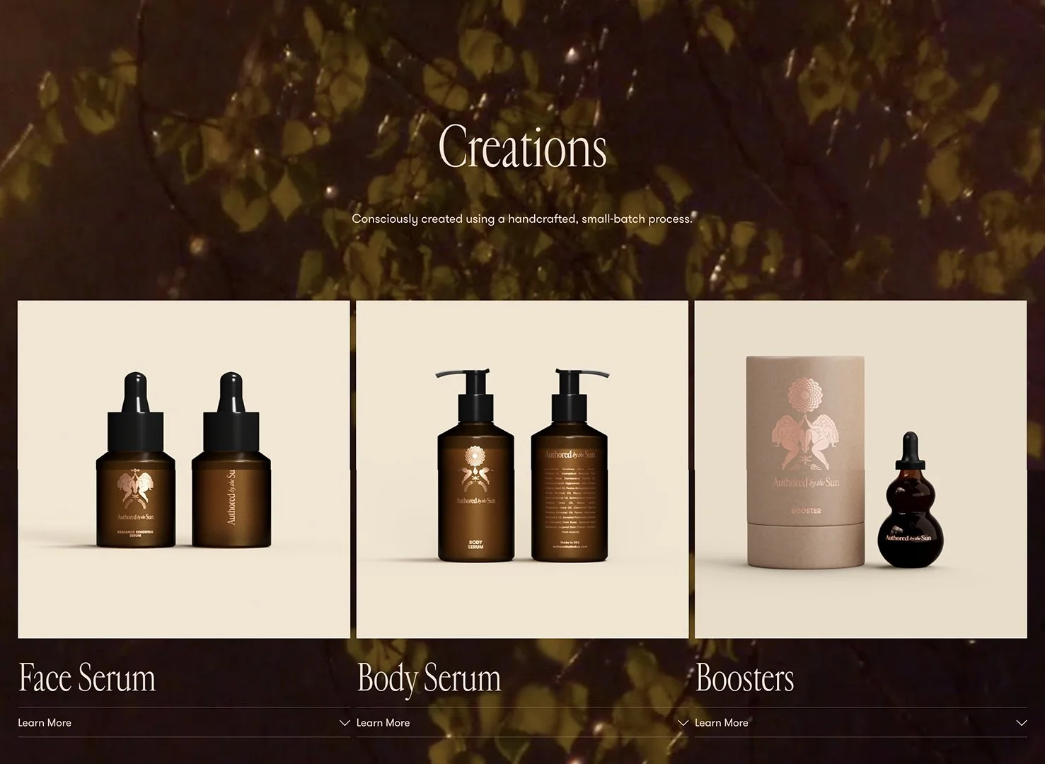 Meow House - Jack Dylan