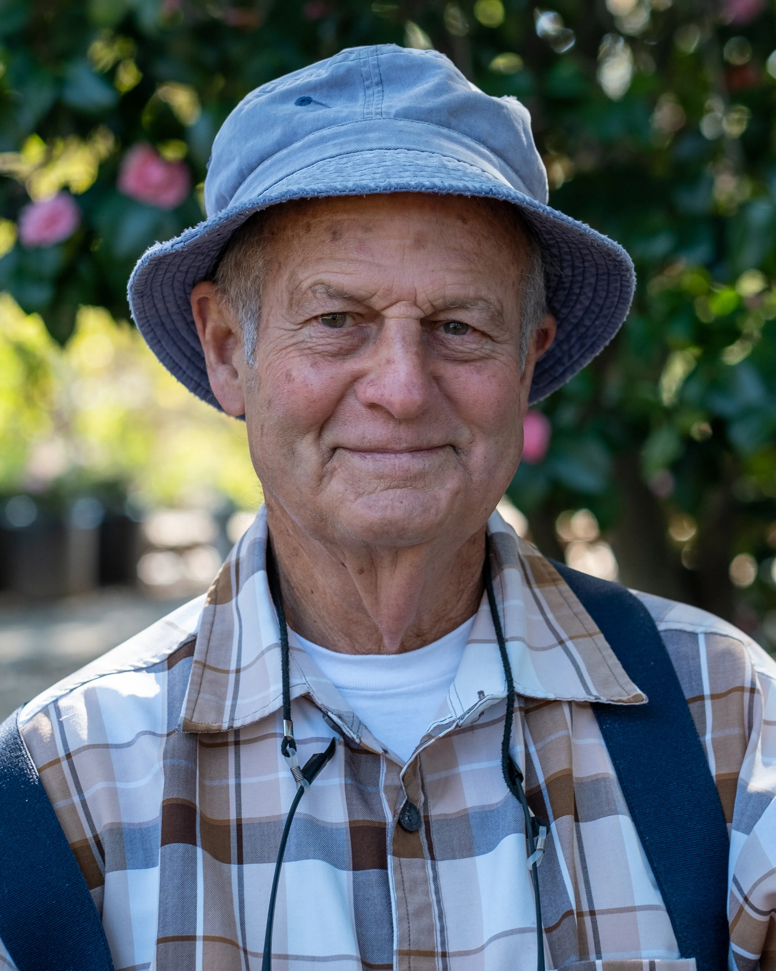 Nuccio's Nursery | The Kings of Camellias — Brandon Slavinski ...