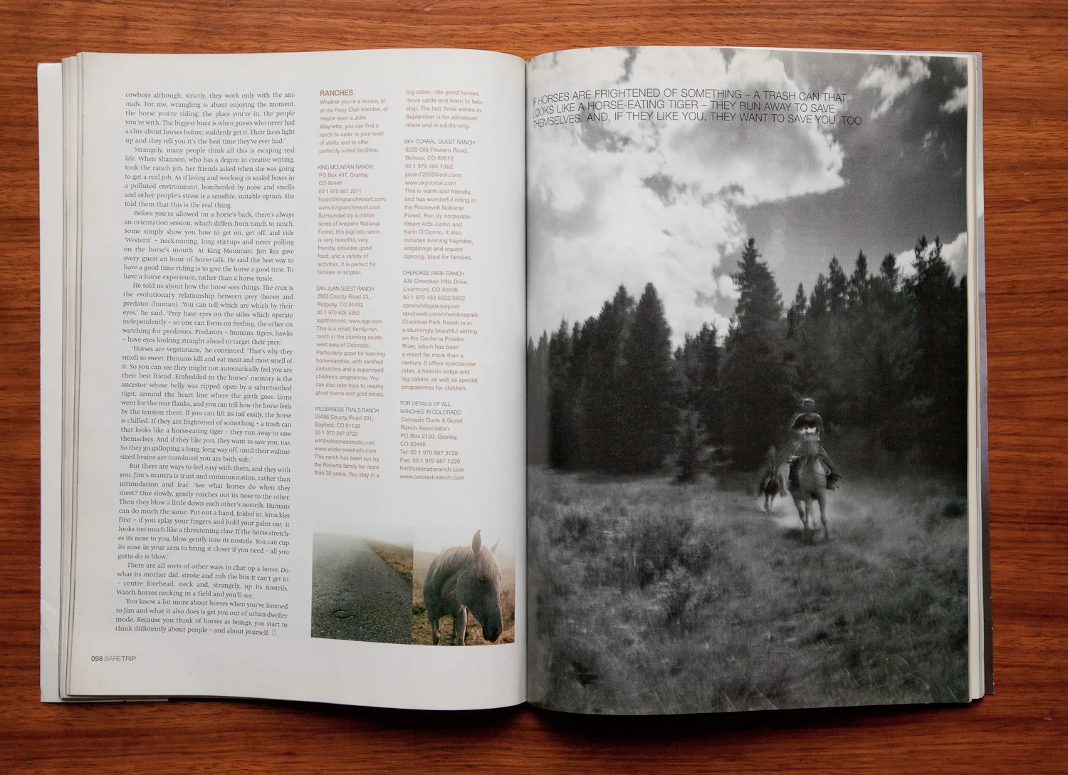 ARCHIVES — Emily Mott