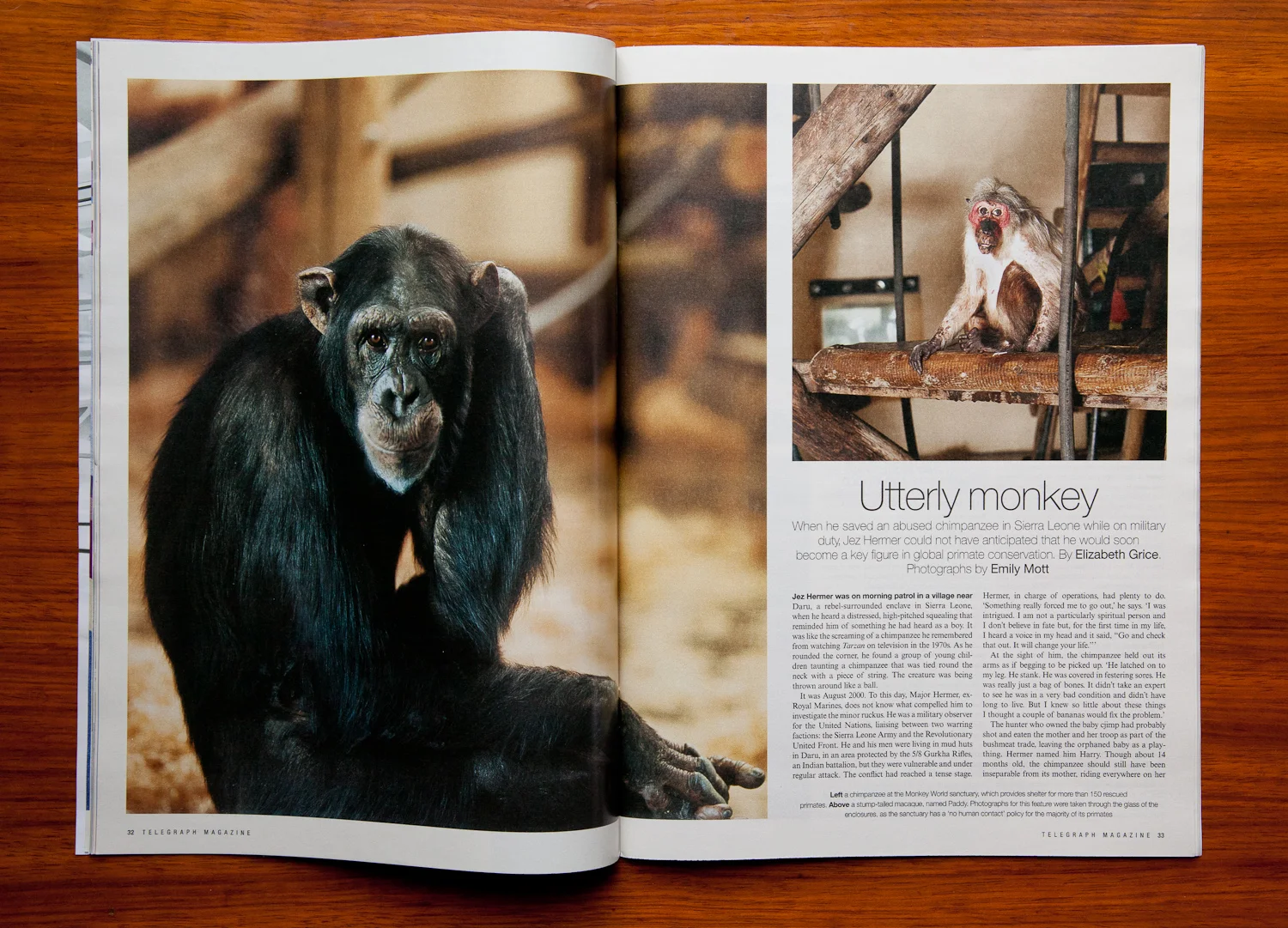 ARCHIVES — Emily Mott