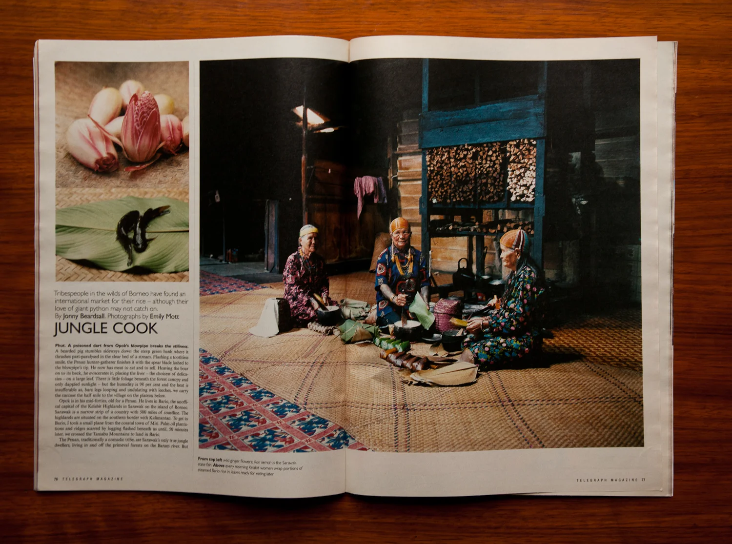 ARCHIVES — Emily Mott