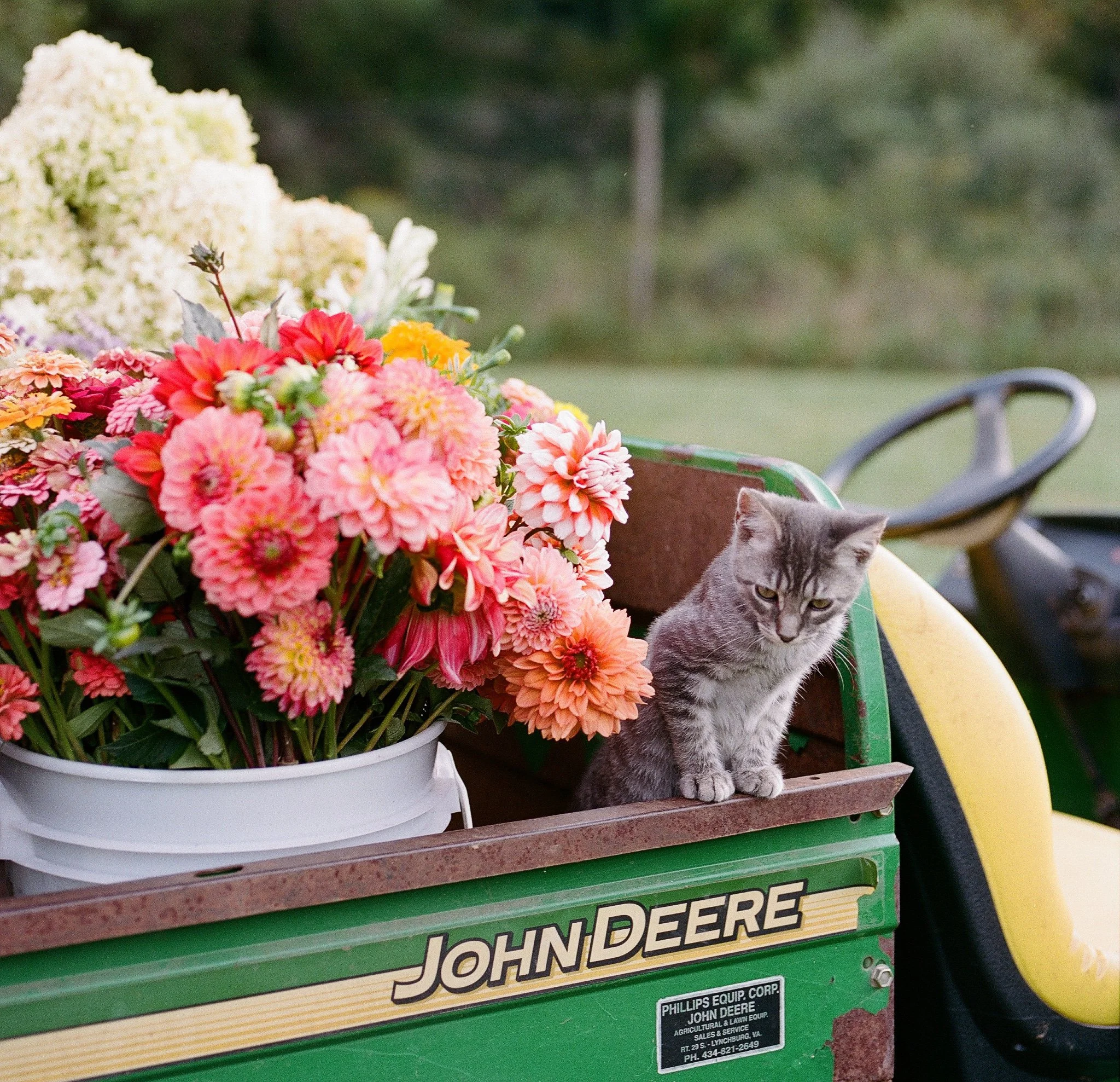 John Deere Flower Arrangement | Best Flower Site