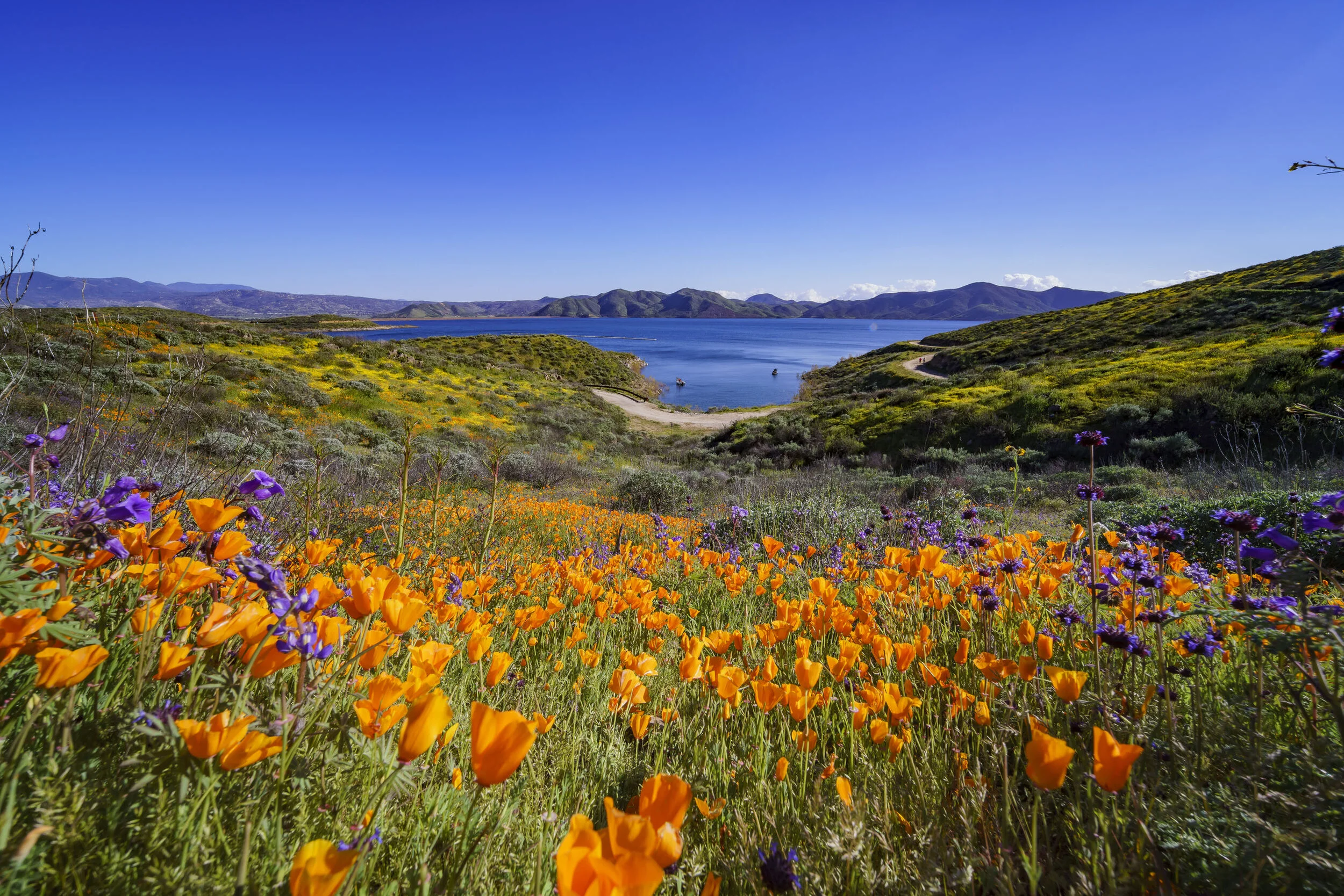 Eco-Friendly Order Fulfillment — Verde Fulfillment USA