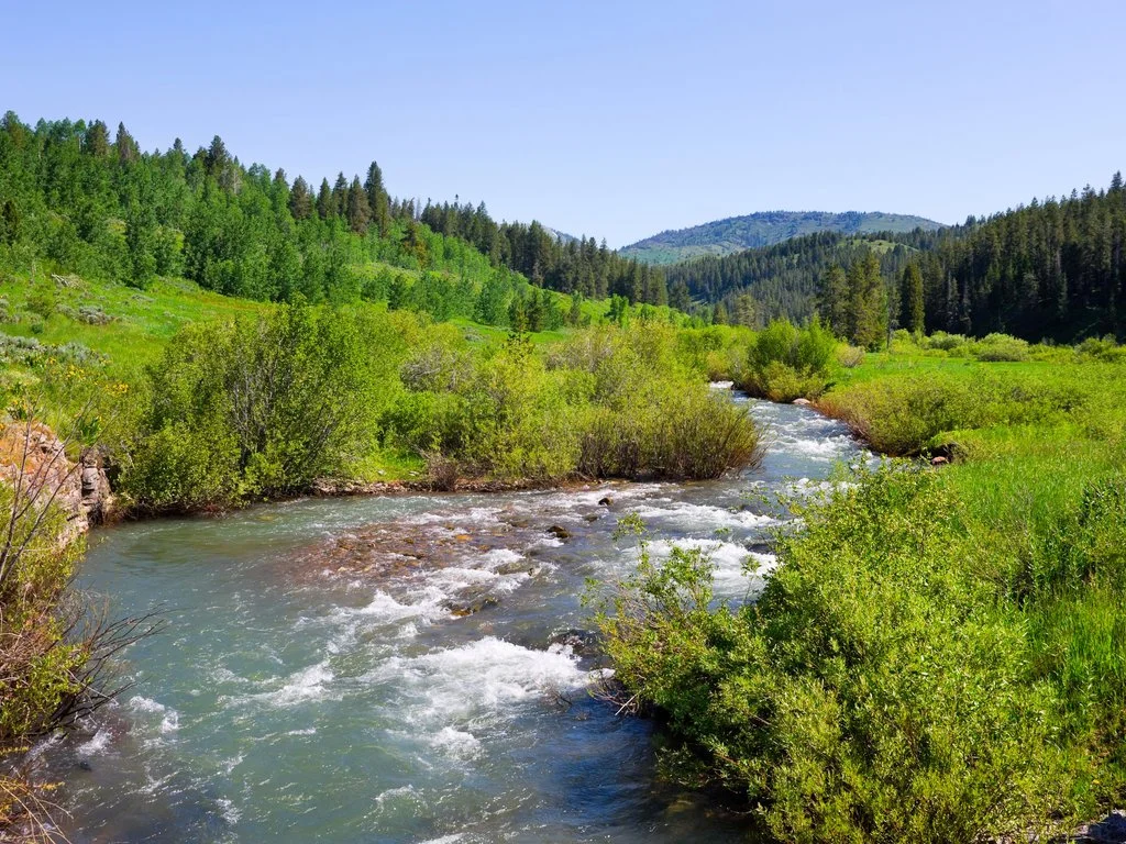 Omnichannel Fulfillment Services — Verde Fulfillment USA