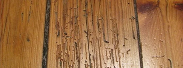 Humidity in the Winter Months — Plus Hardwood Flooring