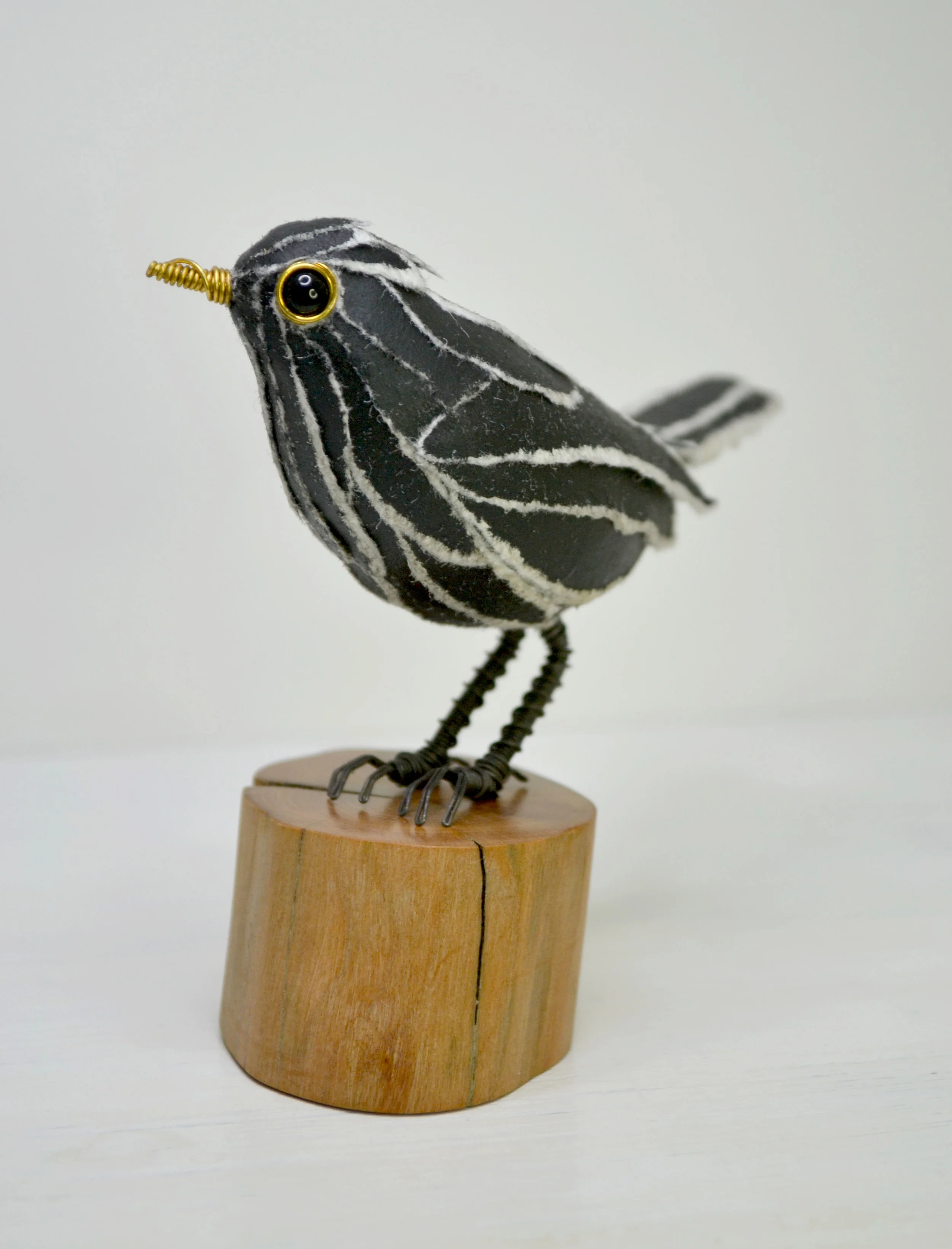 Shop — Suzanne Breakwell