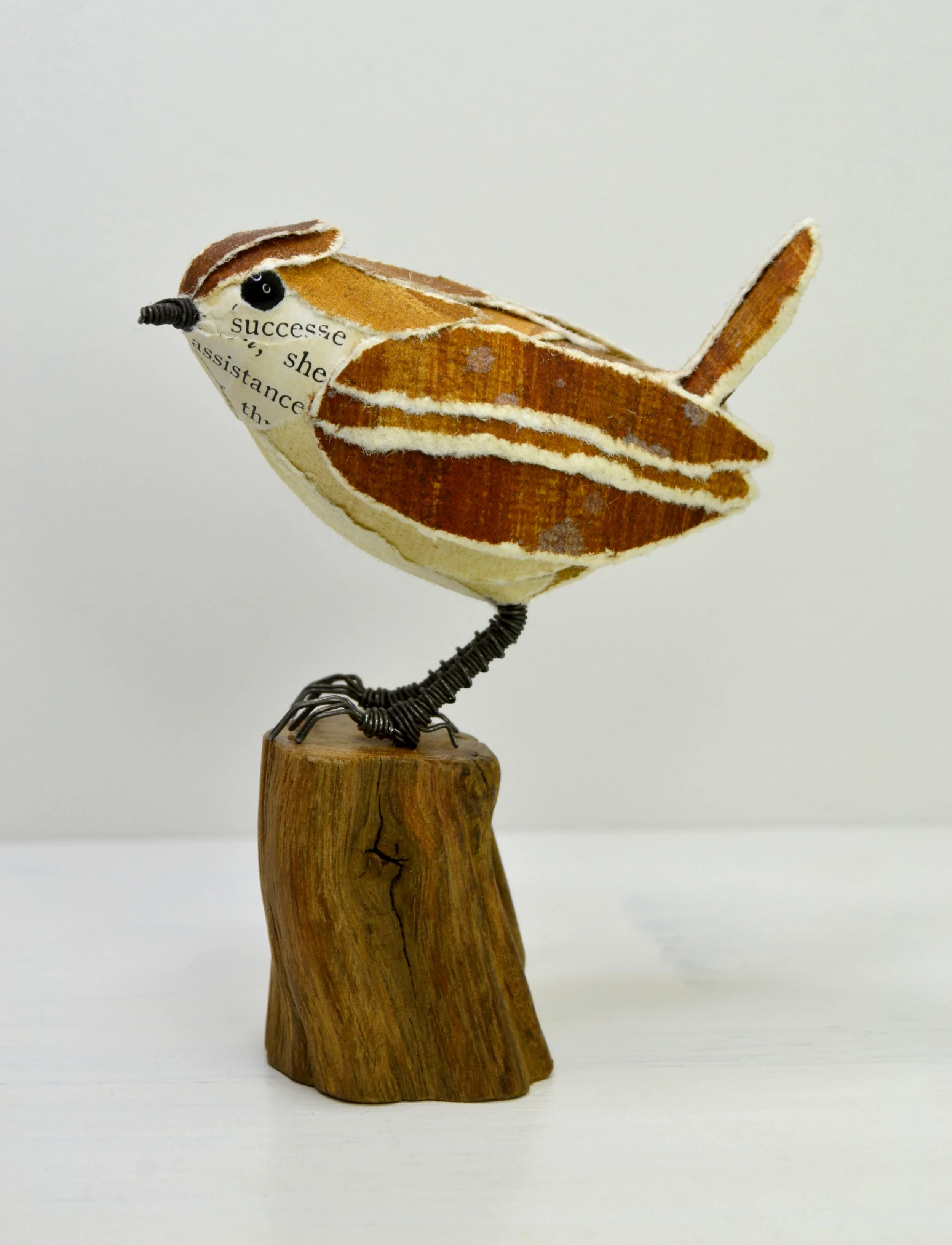 Shop — Suzanne Breakwell