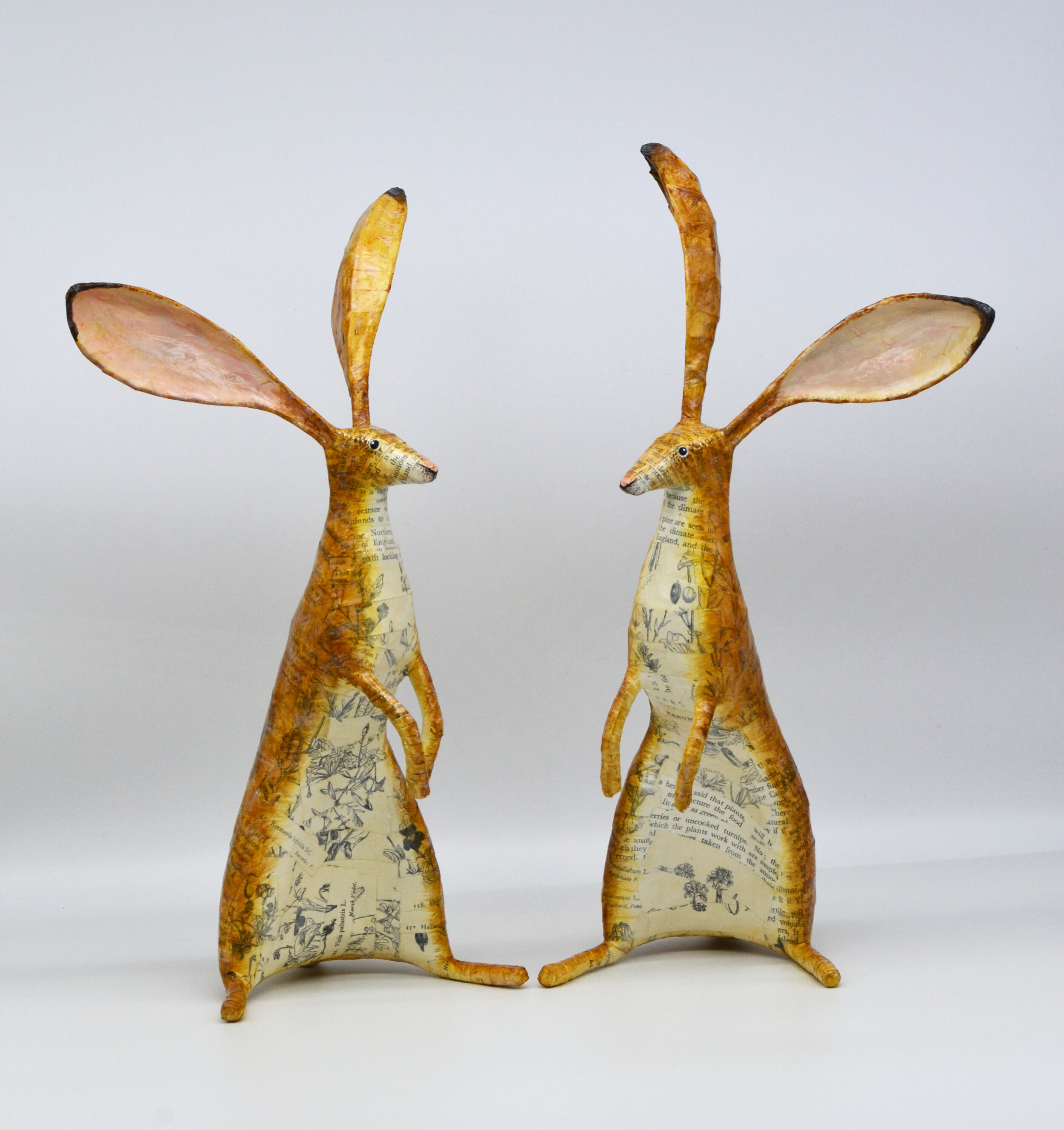Shop — Suzanne Breakwell