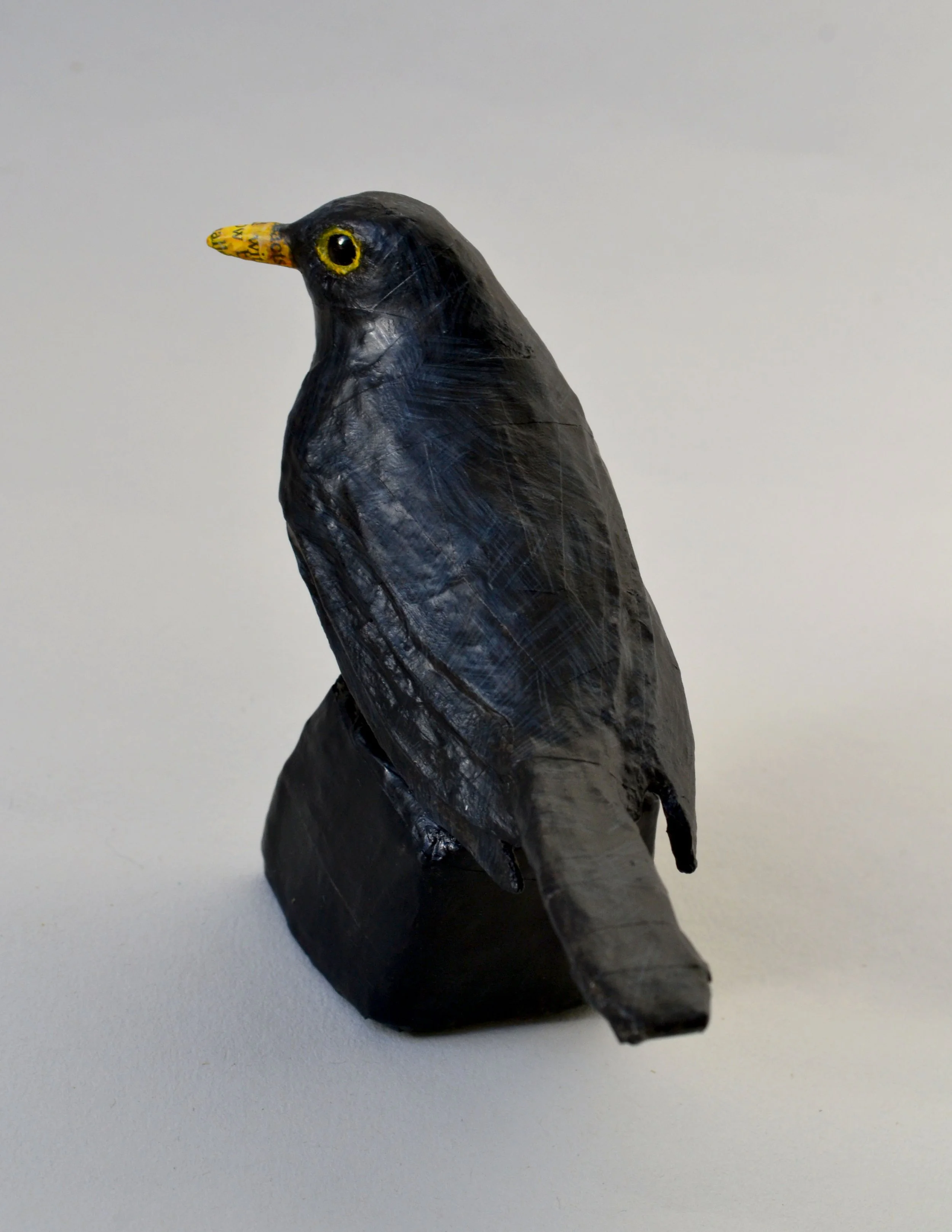 Shop — Suzanne Breakwell