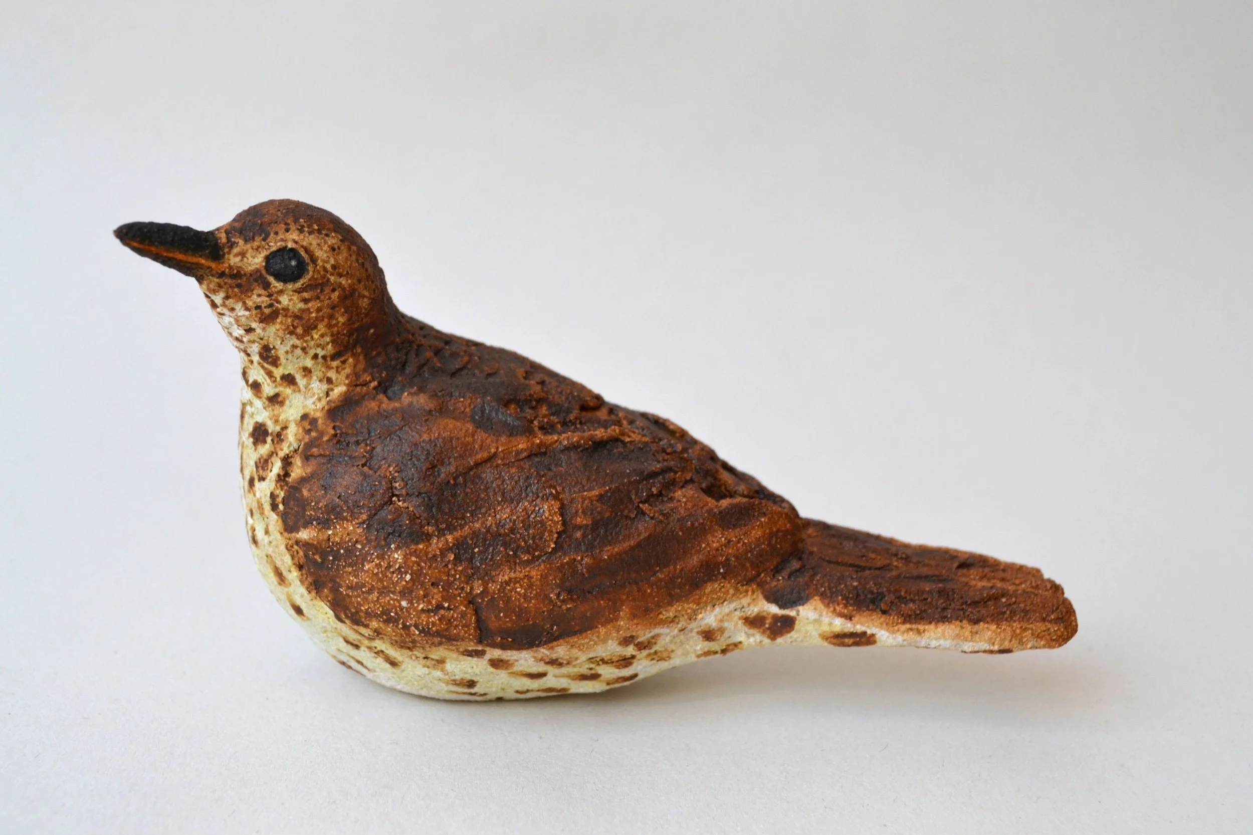 Ceramics Gallery — Suzanne Breakwell