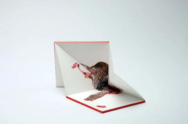 Roadkill II — L M S Lucy May Schofield