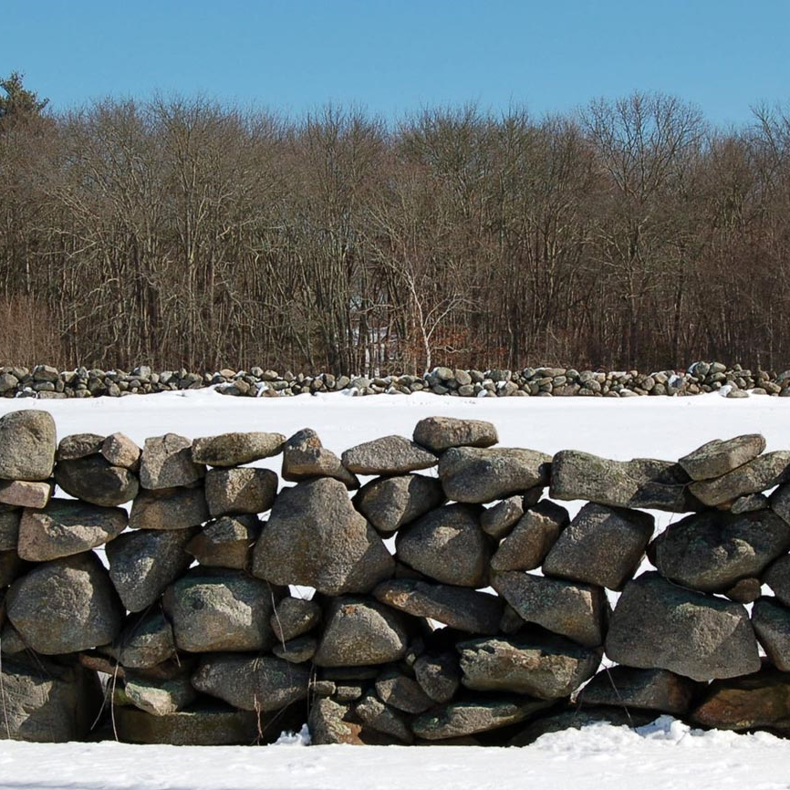 Indigenous Landscape — Kimberly Mercurio Landscape Architecture