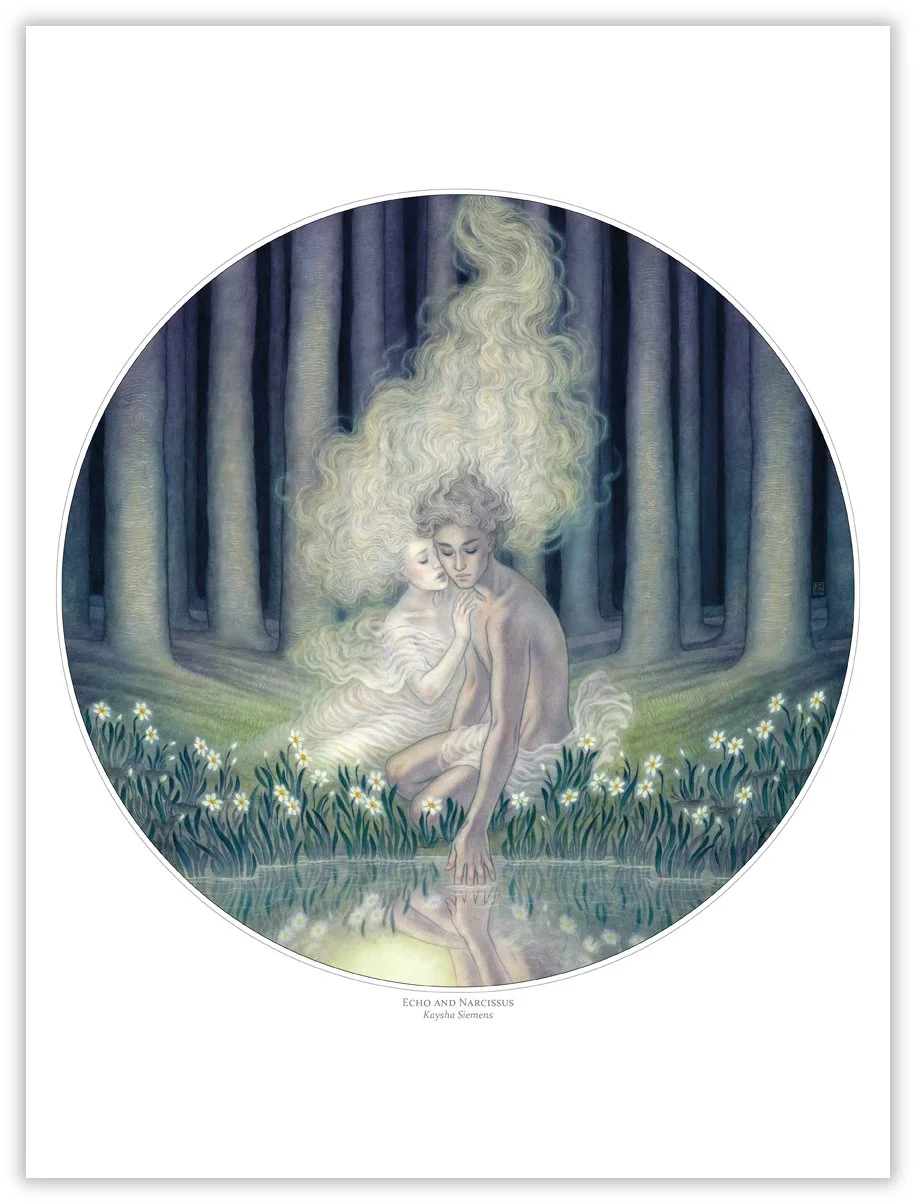Narcissus Echo at Dan Bray blog