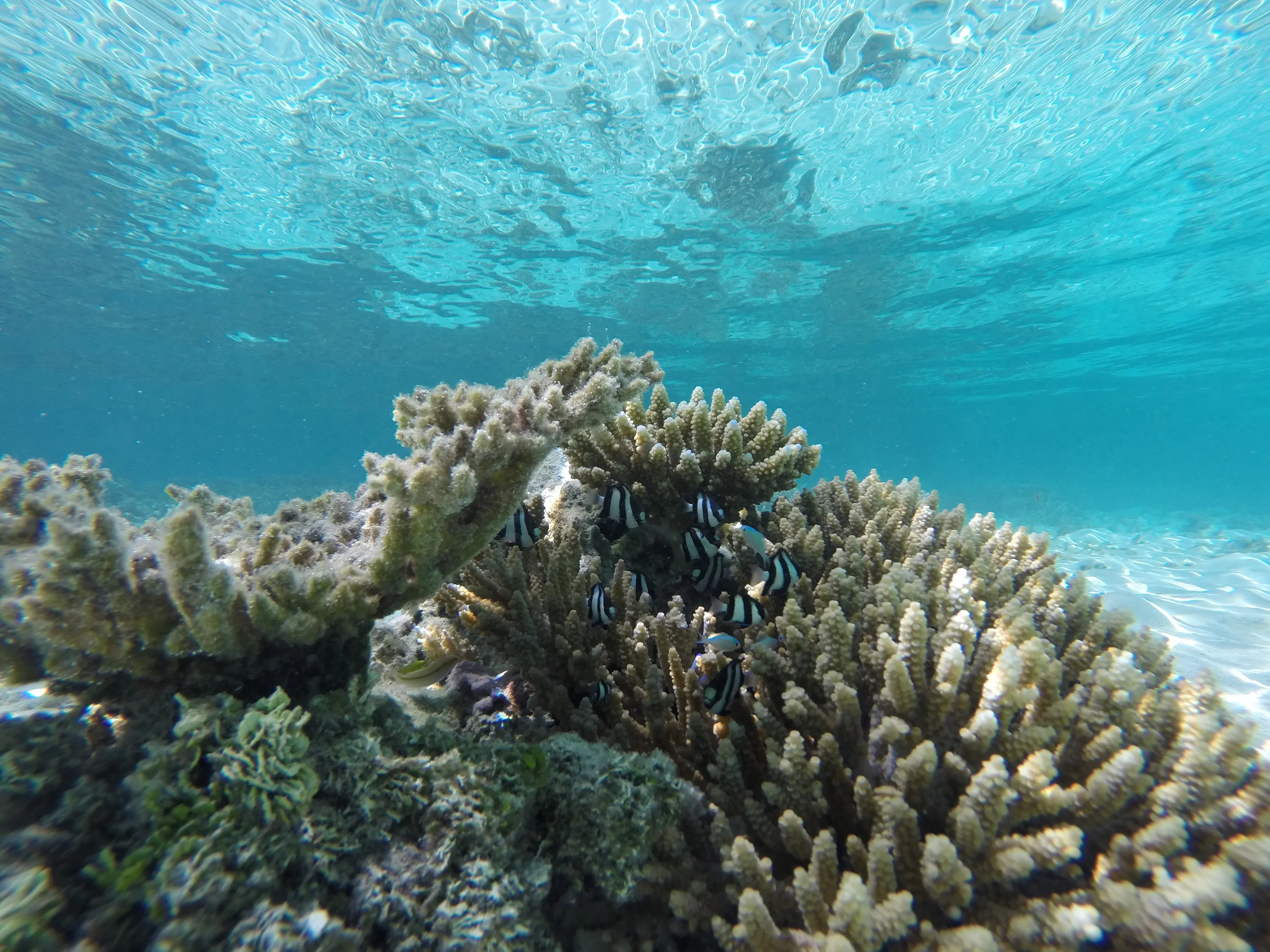 A Couple’s Guide to the Maldives — Beyond Ordinary Guides - Curated ...