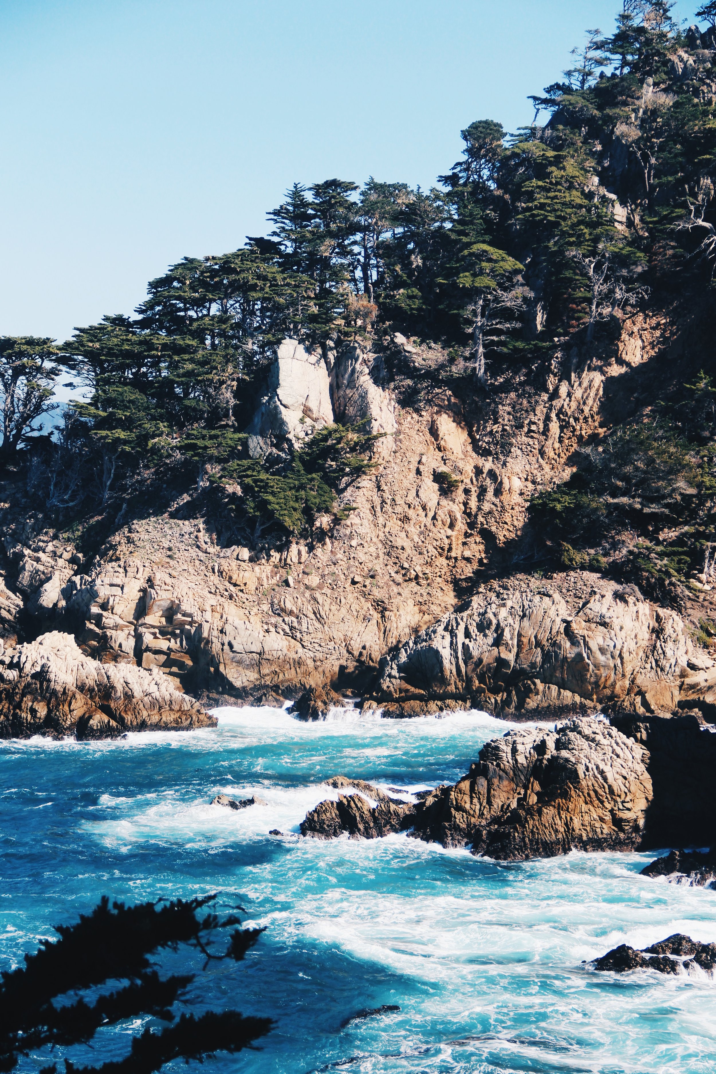 Point Lobos State Park | A Photo Journal — Beyond Ordinary Guides ...