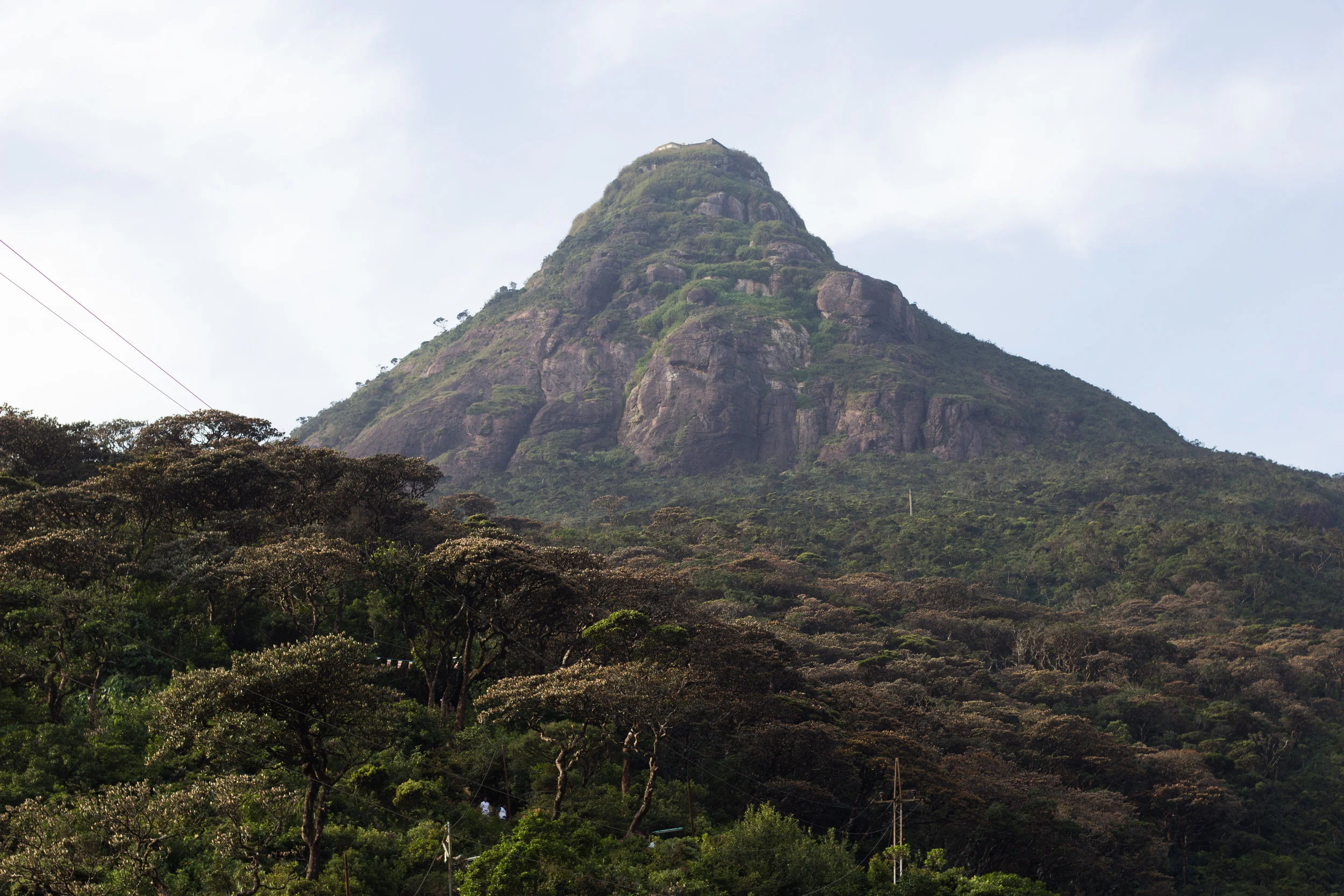 Hiking Adam's Peak | Sri Lanka — Beyond Ordinary Guides - Curated ...