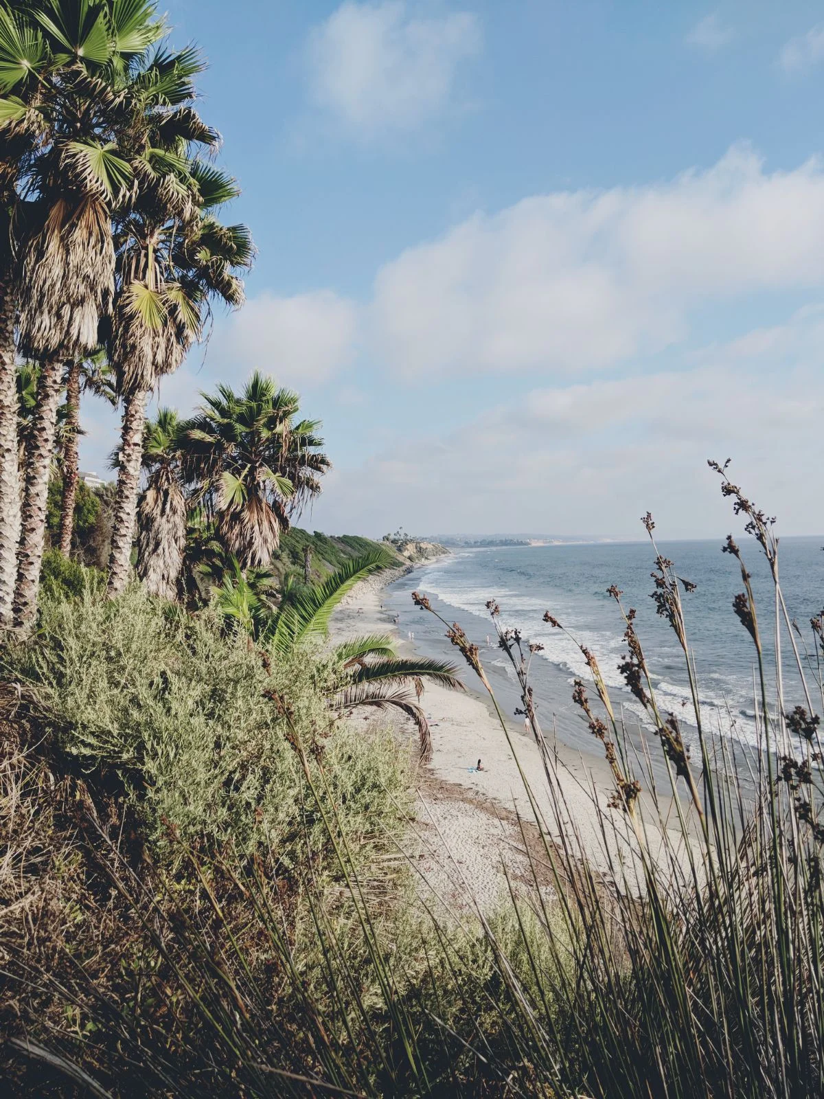 Pocket Guide to Encinitas | California — Beyond Ordinary Guides ...