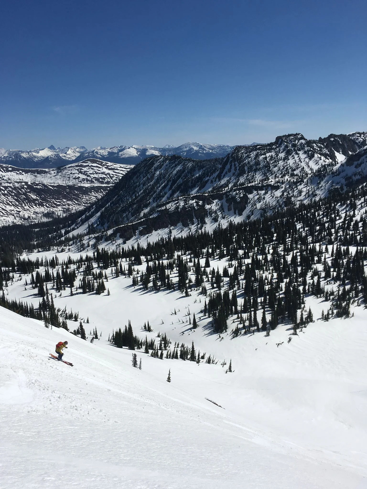 HIGHLINE DESIGN : KALISPELL, MONTANA GRAPHIC DESIGNERS — FIELD GUIDE ...