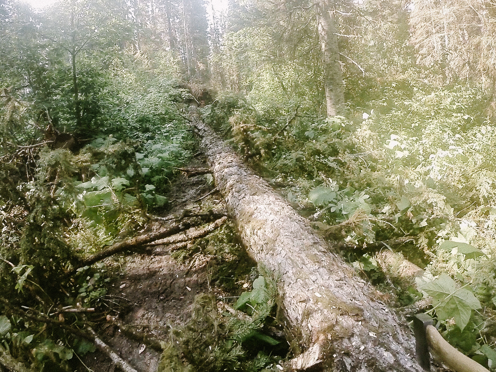 BIG SKY, BIG LAND : Kalispell Pecha Kucha Vol 1 : Mandy Mohler — FIELD ...