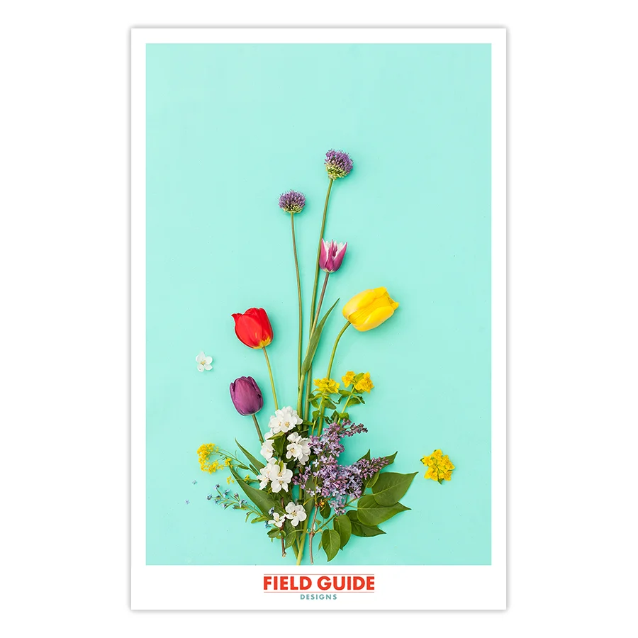 STICKERS — FIELD GUIDE DESIGNS