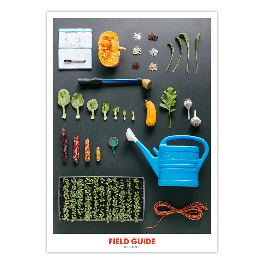 STICKERS — FIELD GUIDE DESIGNS