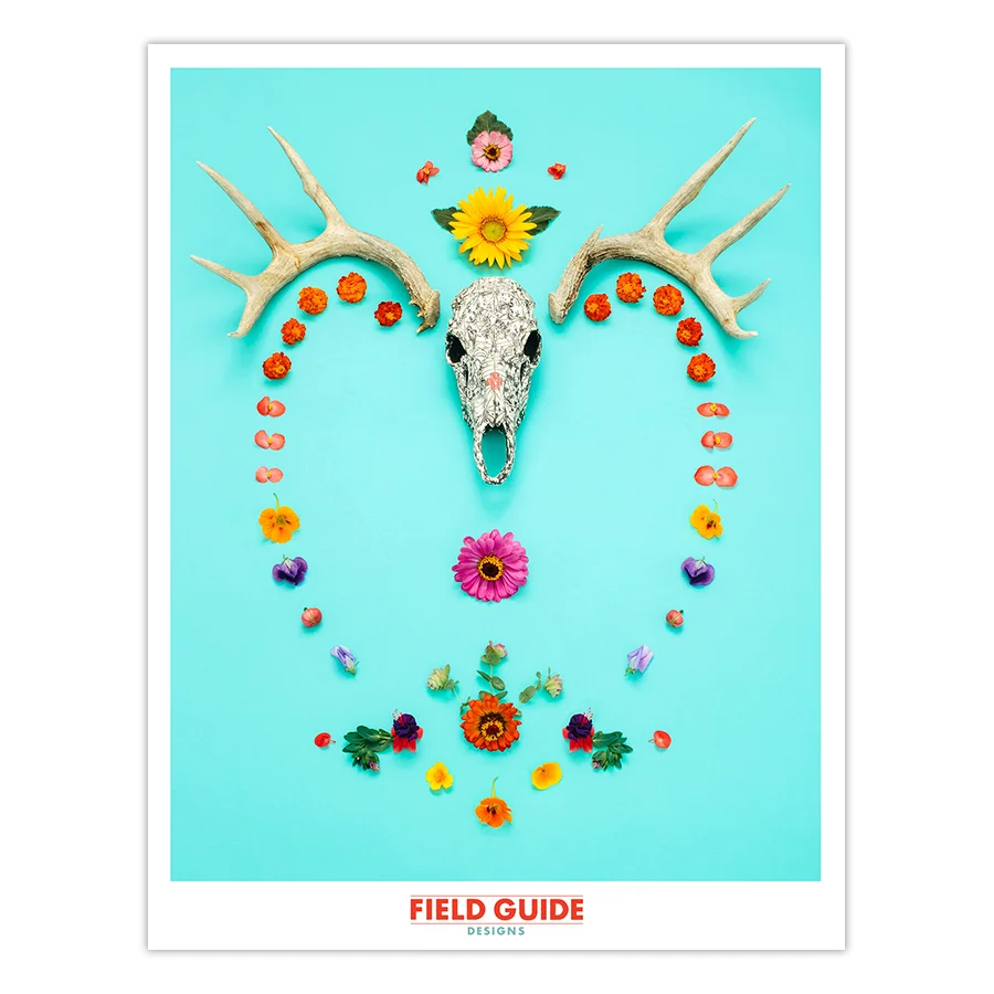 STICKERS — FIELD GUIDE DESIGNS