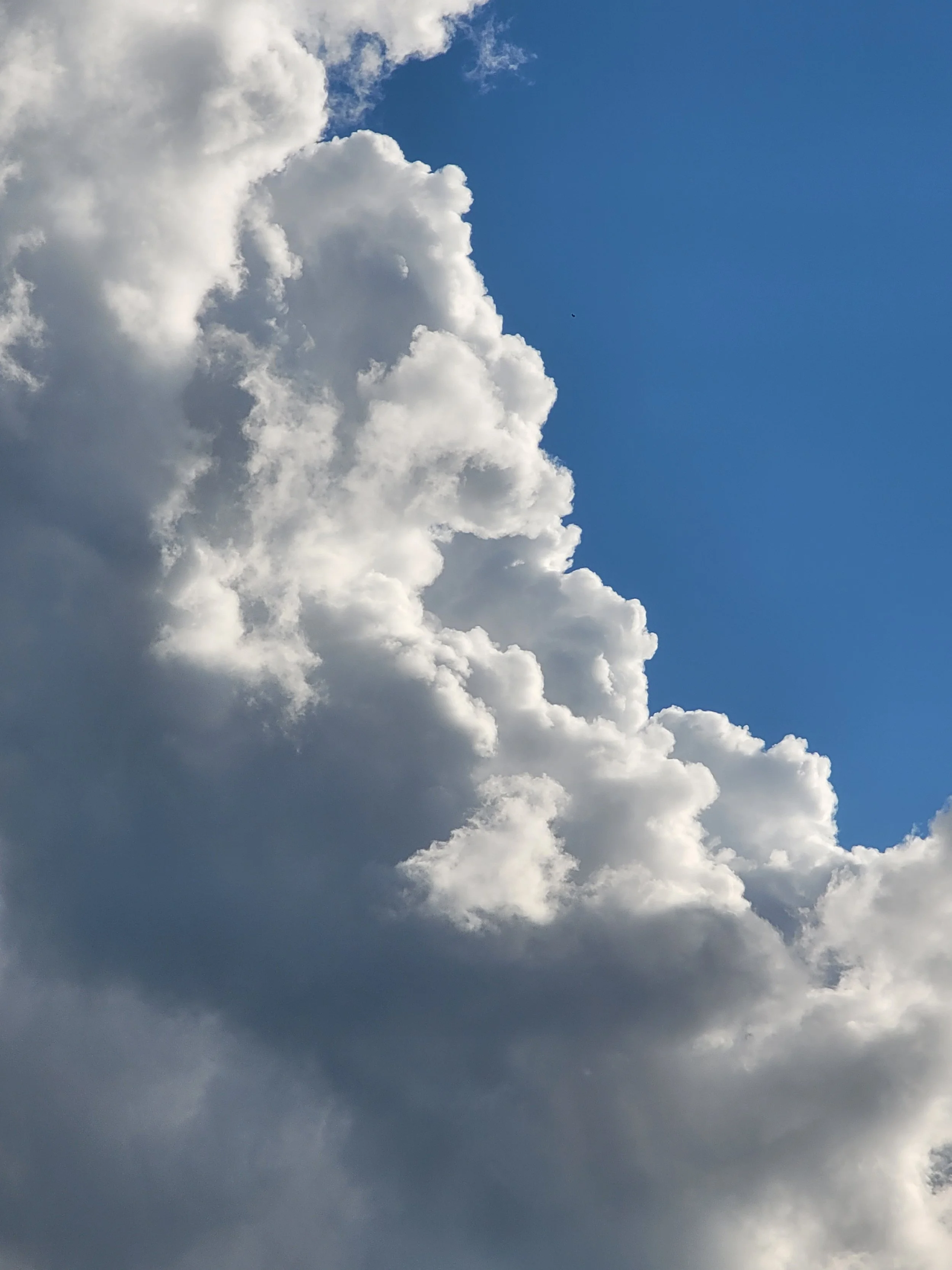 Governance — Design with Microclimate