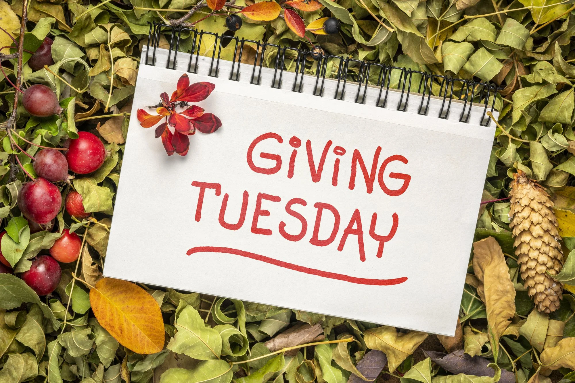 Giving Tuesday: What It Is and Why It Matters — Center for Financial ...