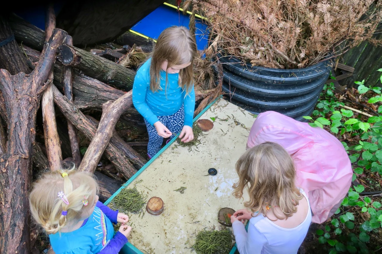 Observe The Play — Takoma Park Cooperative Nursery School