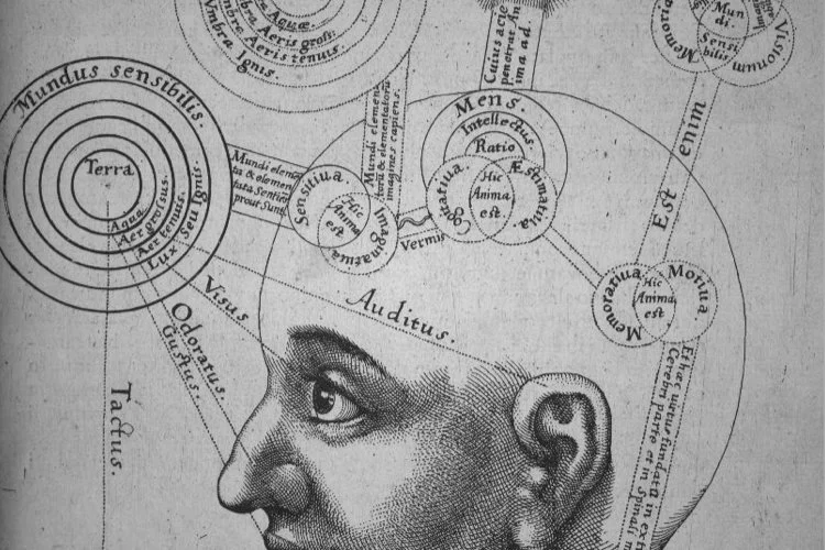 Insights about UX and Design Psychology