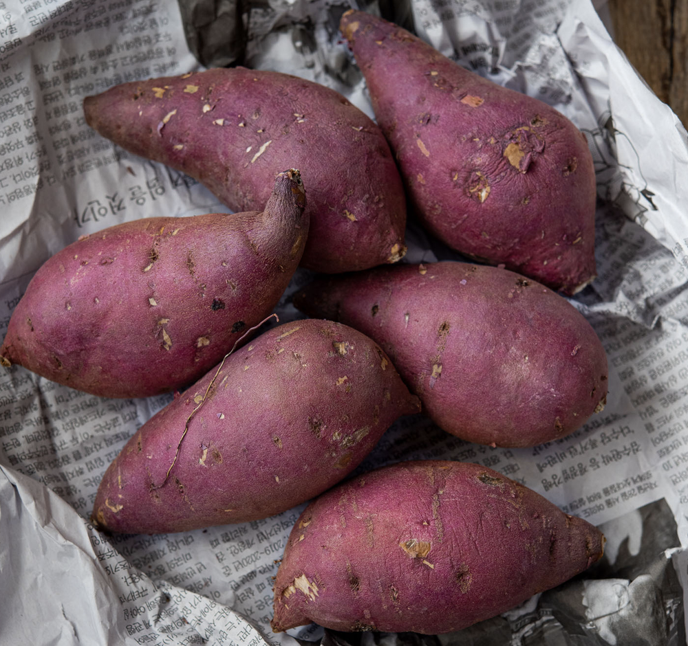 Organic Ontario Sweet Potato Slips for sale from Small Spade Farm ...