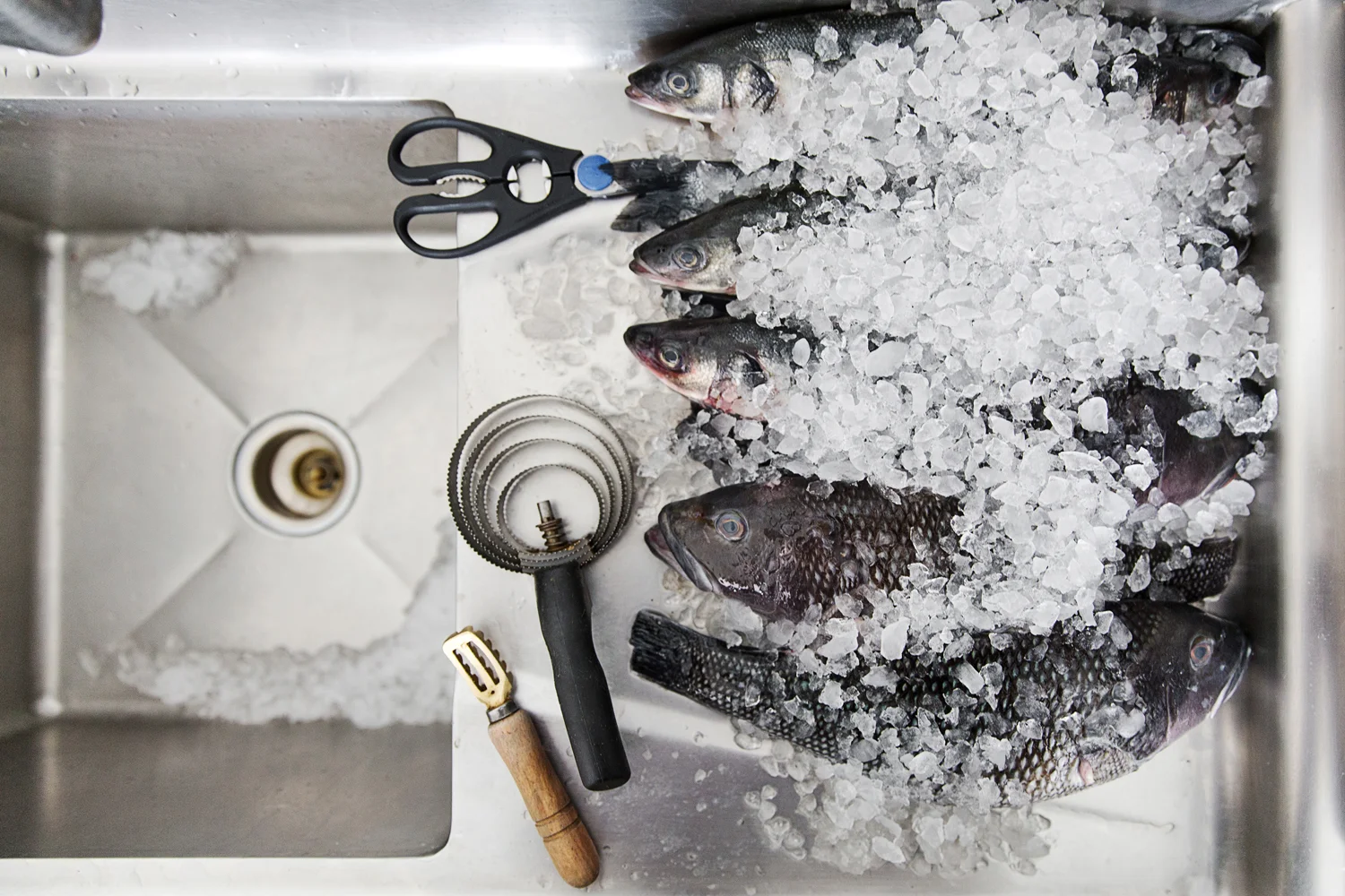 McCall's Meat and Fish Co.