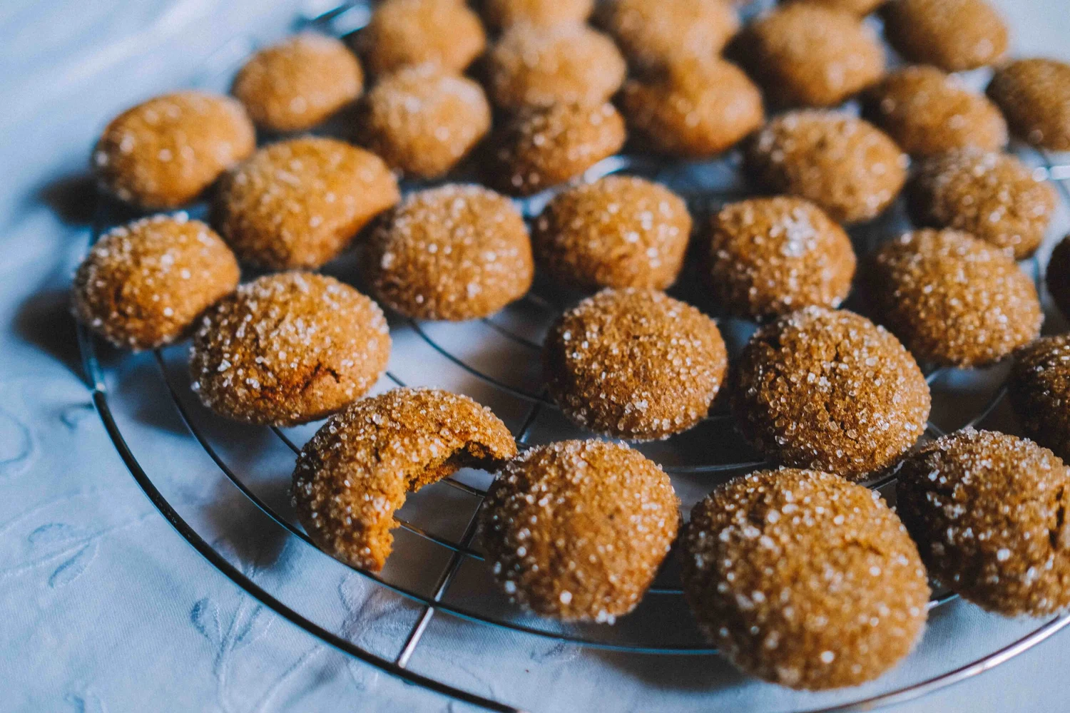 Ginger Nuts — The Malabar Tea Room