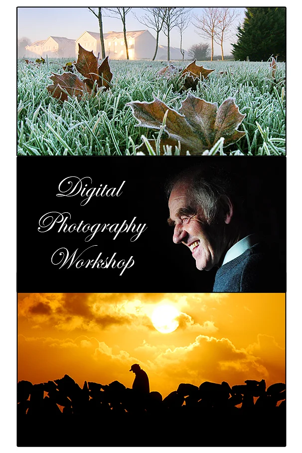 Photo Workshops Courses — Photo One Studios