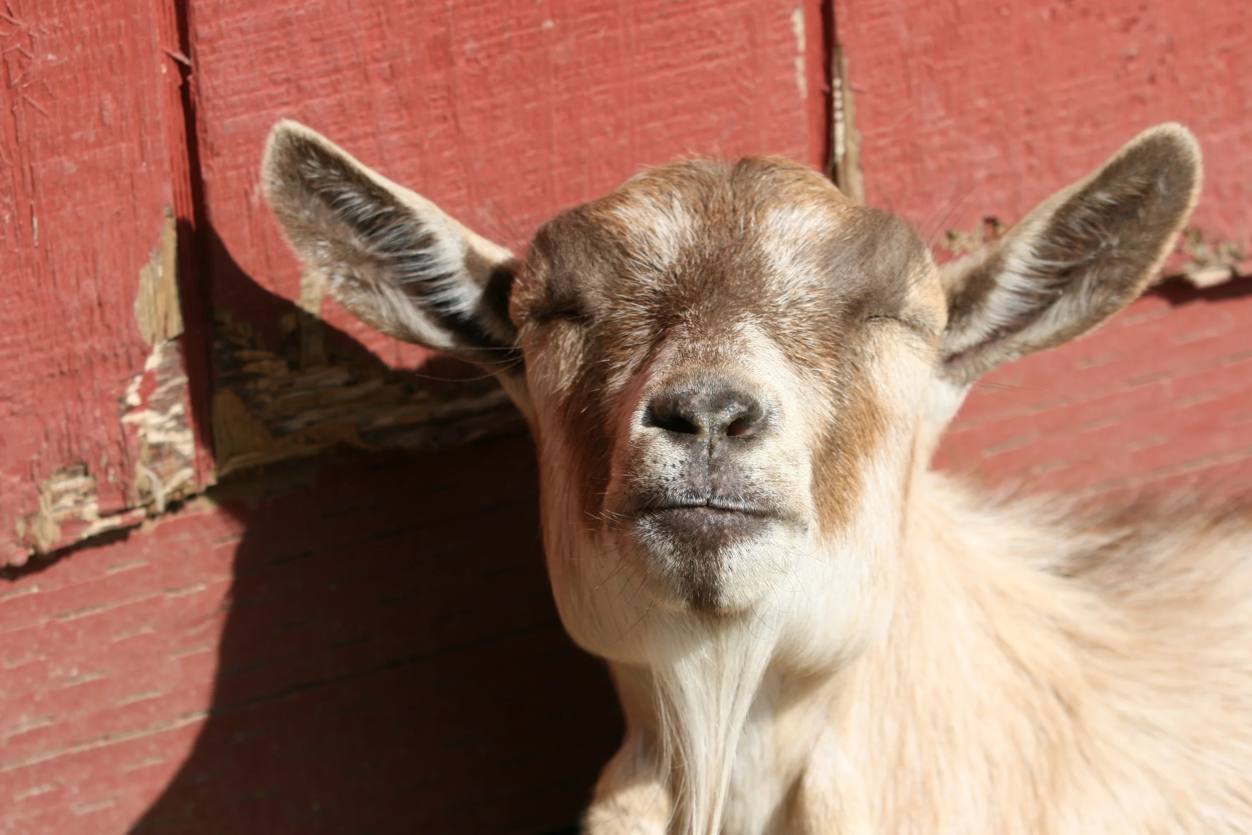 Campus — Arbor School of Arts & Sciences