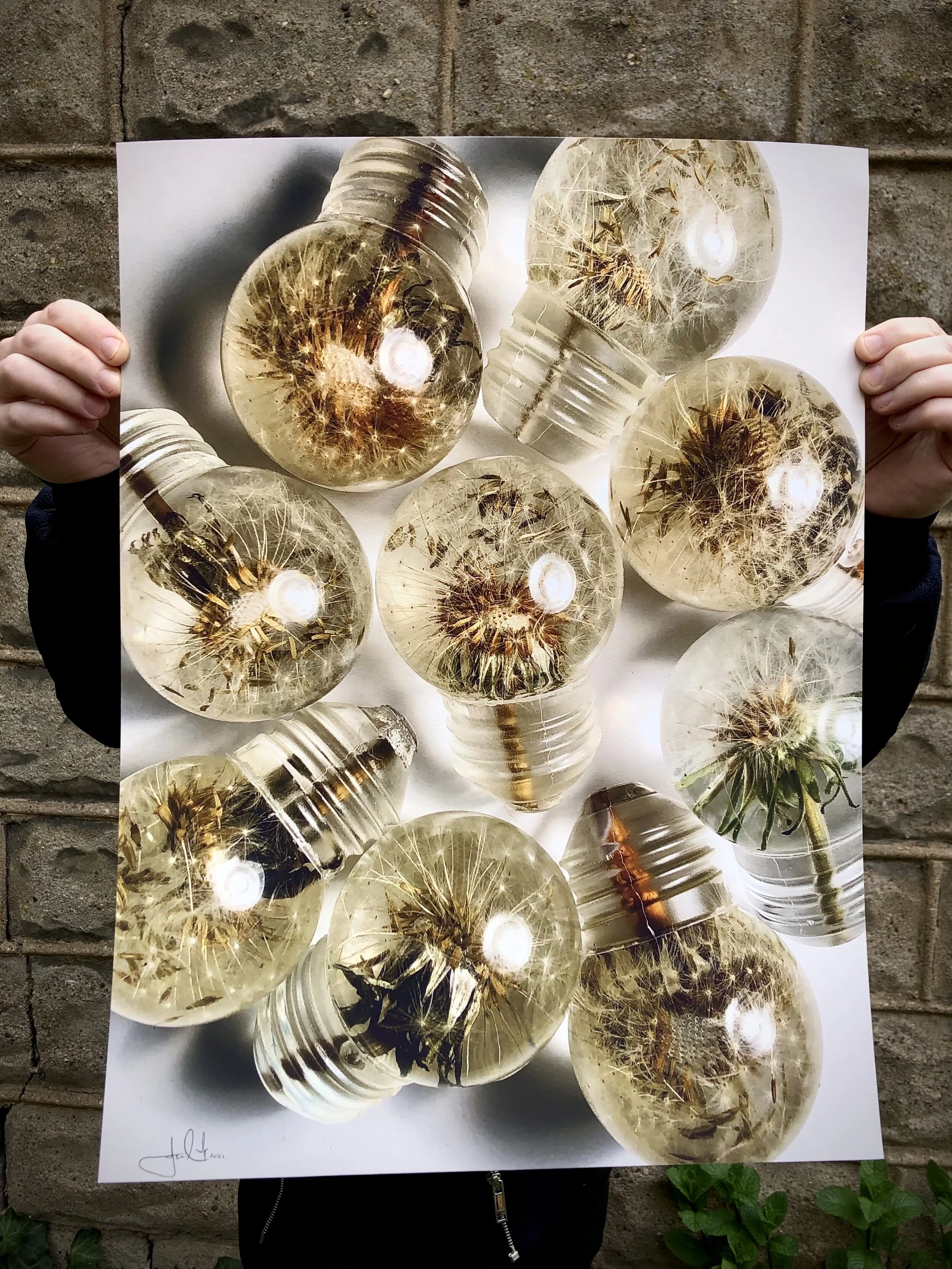 Shop — Jenna Morello