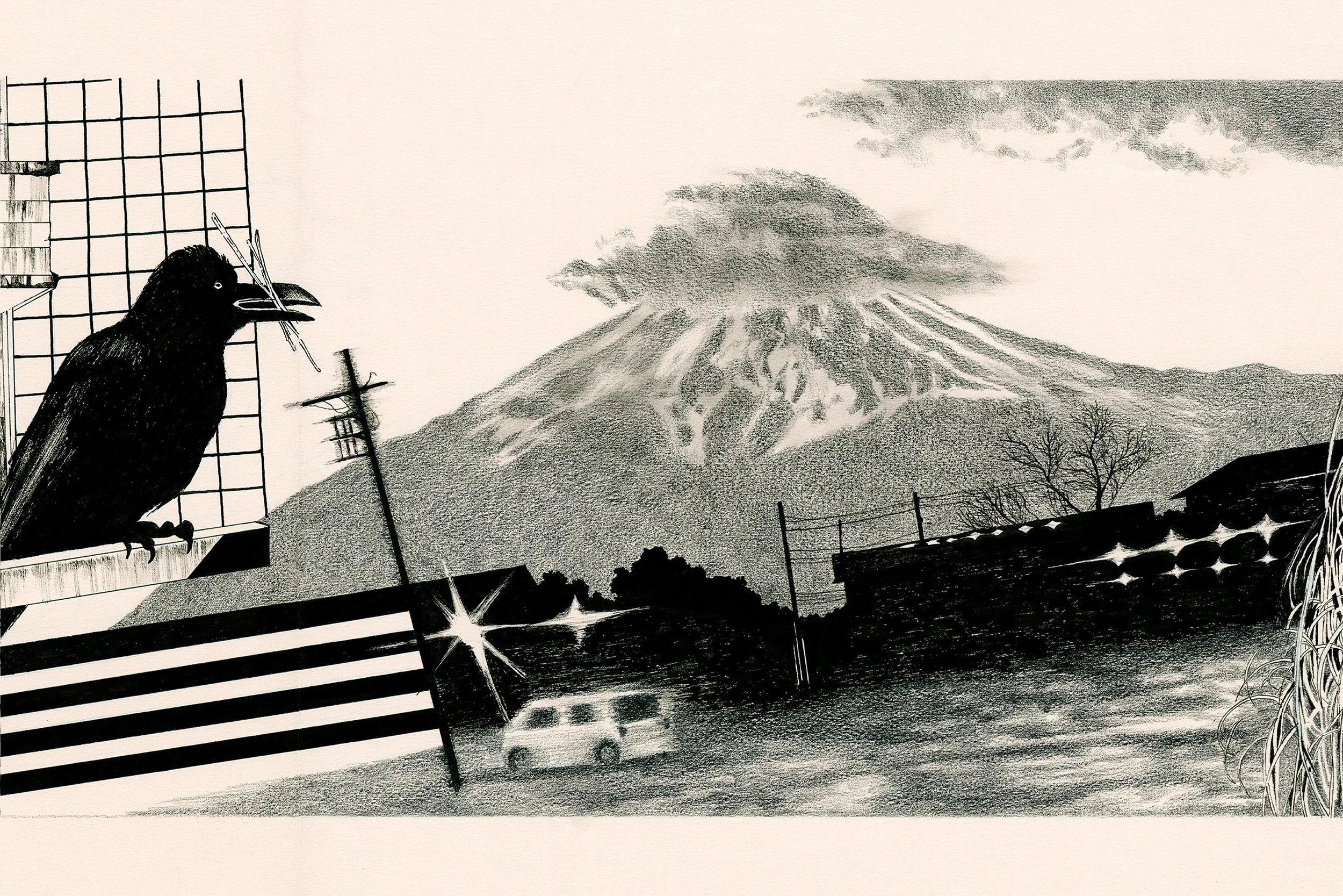 Lost Walk Home — Joey Han