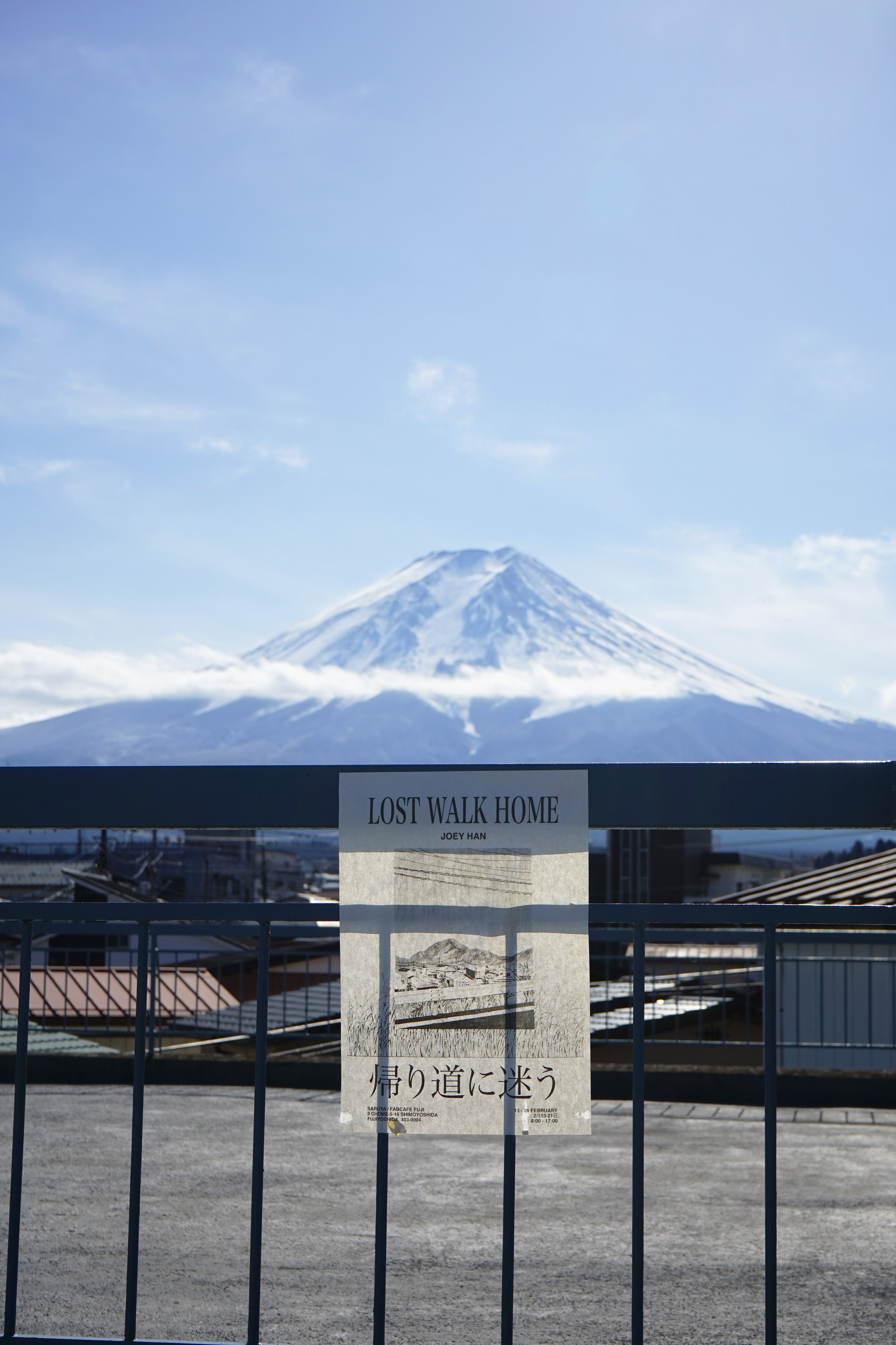 Lost Walk Home — Joey Han