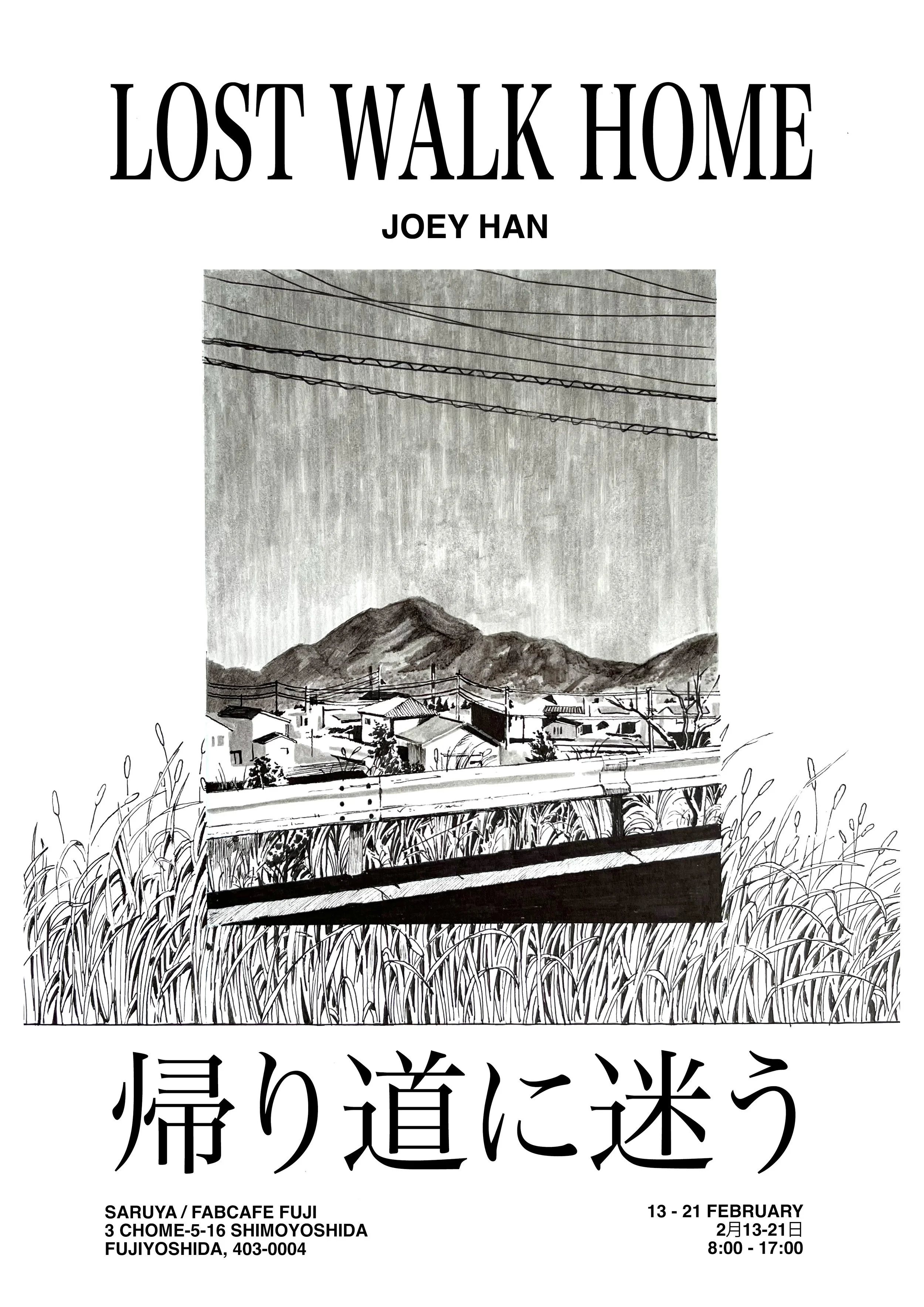Lost Walk Home — Joey Han