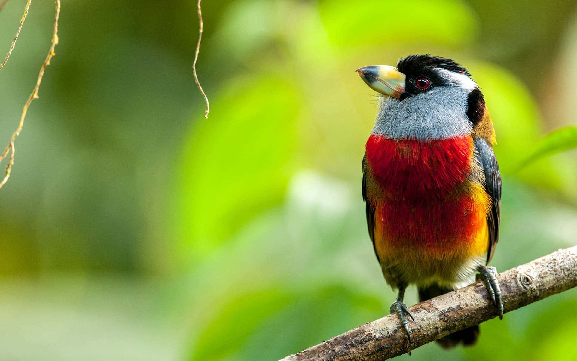 Blog | Travel is inherently creative. How can we make the most of that ...